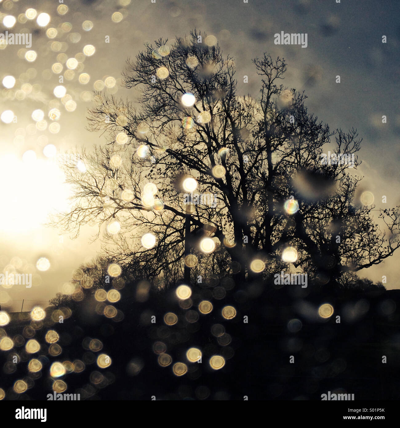 Sparkling glistening hi-res stock photography and images - Alamy