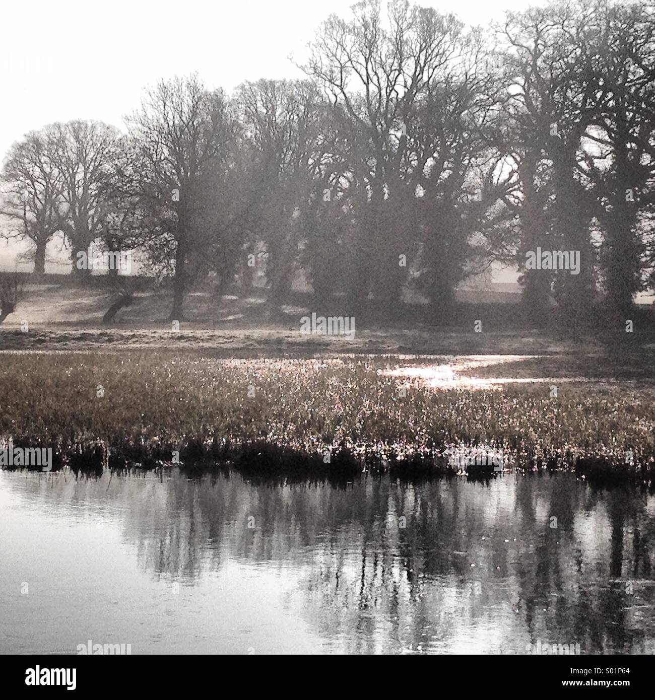 Wiltshire at dawn hi-res stock photography and images - Alamy
