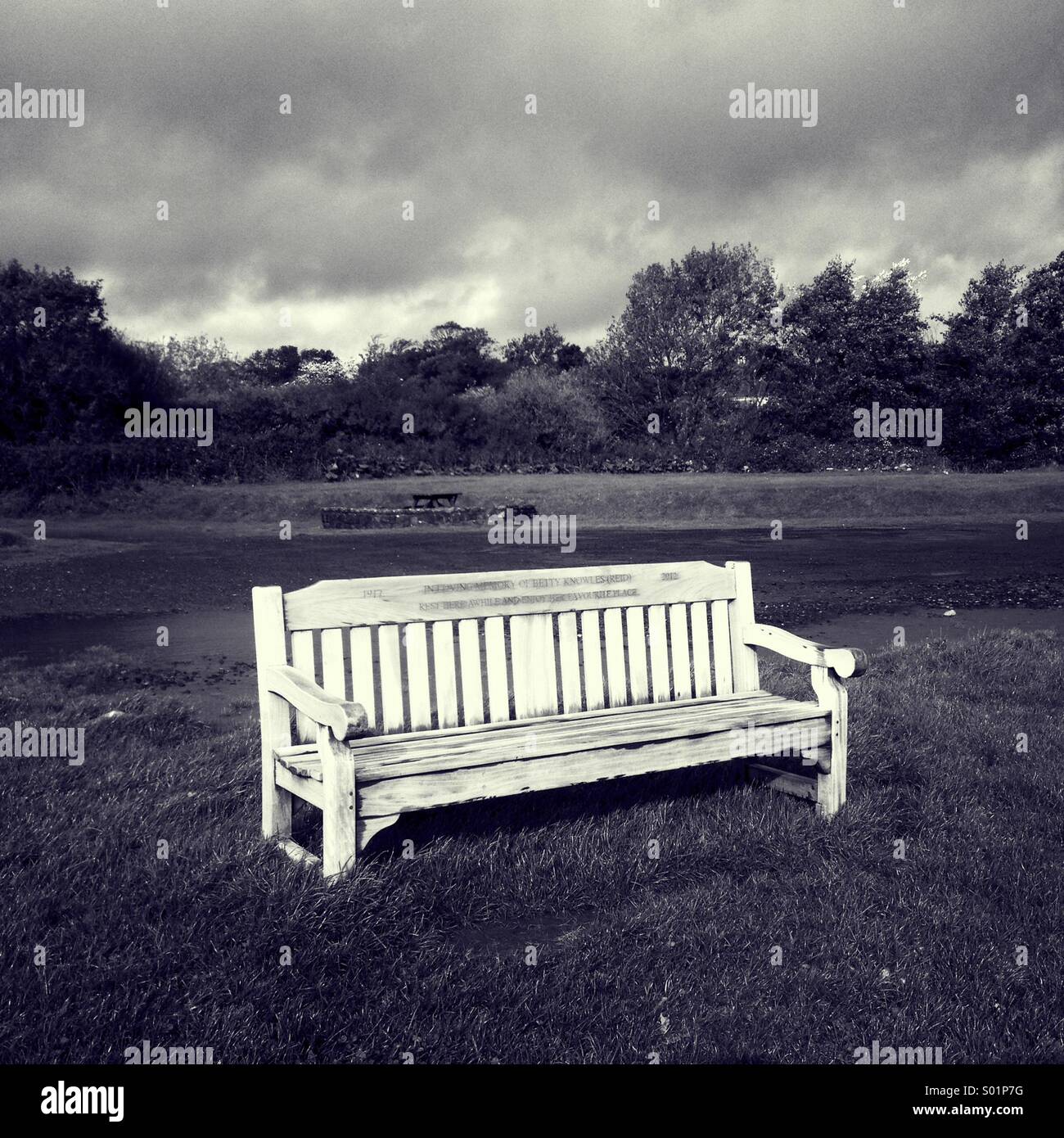 Sit please hi-res stock photography and images - Alamy