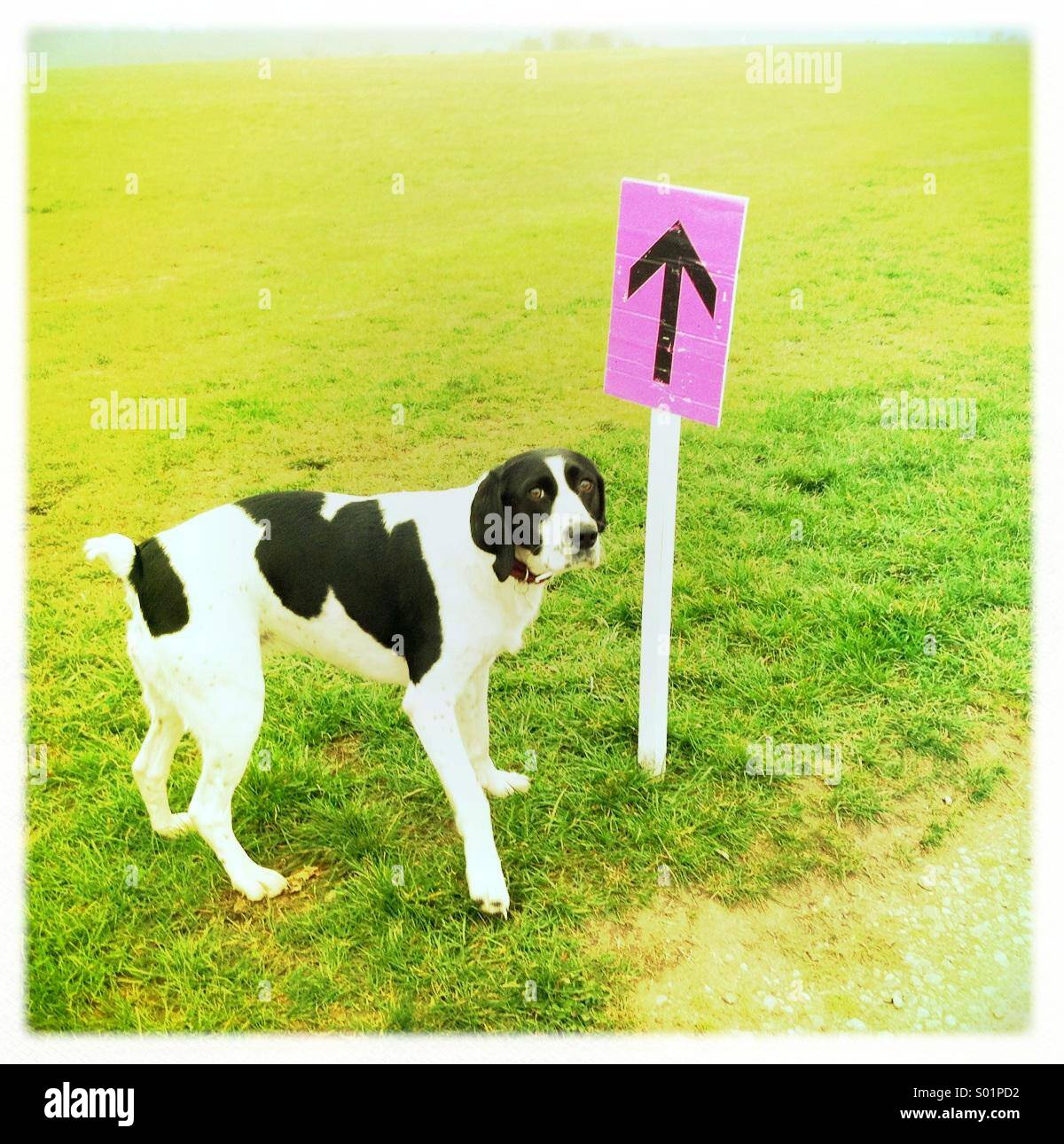 Pointing the way hi-res stock photography and images - Alamy