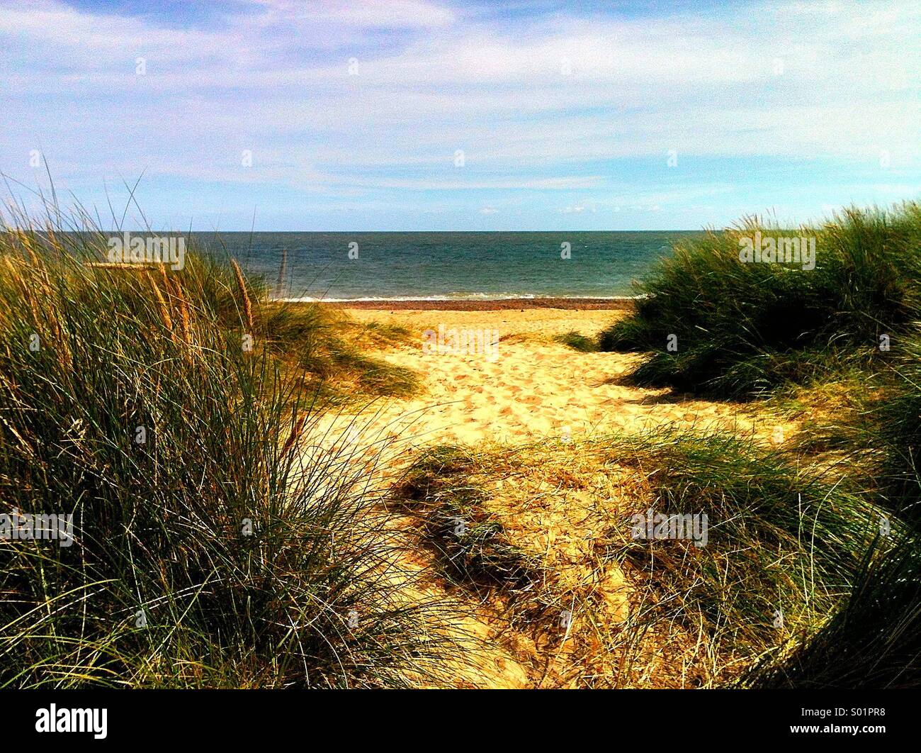 Sand dunes of Soutwold Stock Photo - Alamy