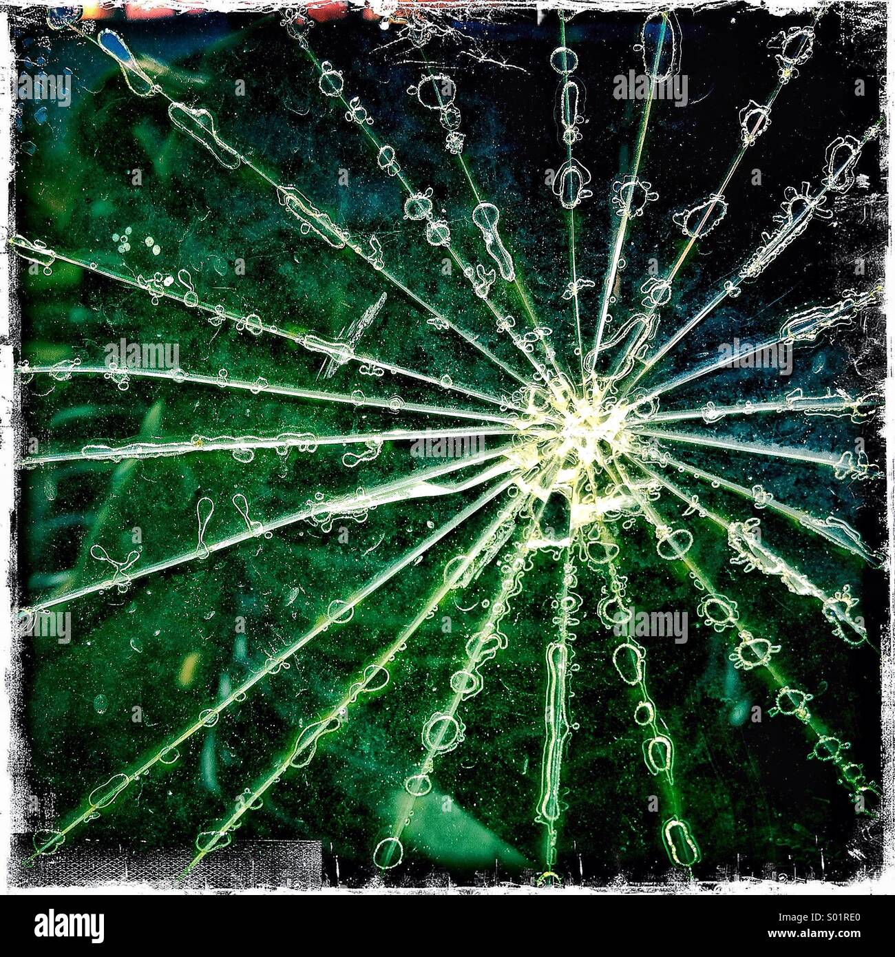 Shattered window on old car makes spider web pattern Stock Photo - Alamy