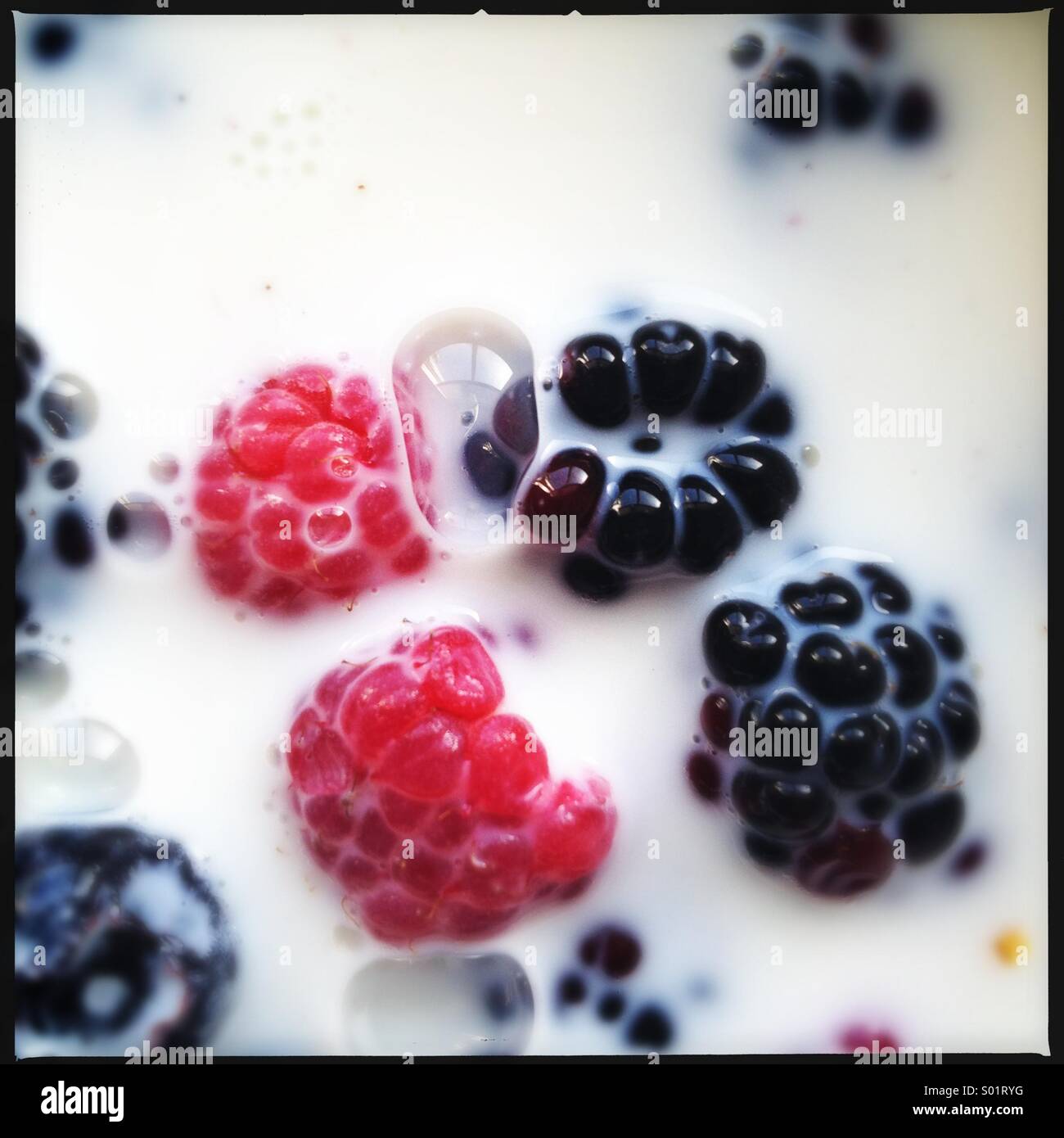 Berries milk hi-res stock photography and images - Alamy