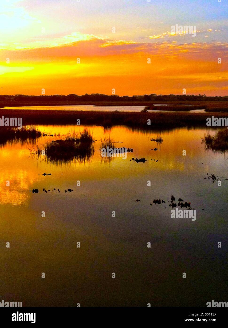 Sunset Salt Marsh Stock Photo - Alamy