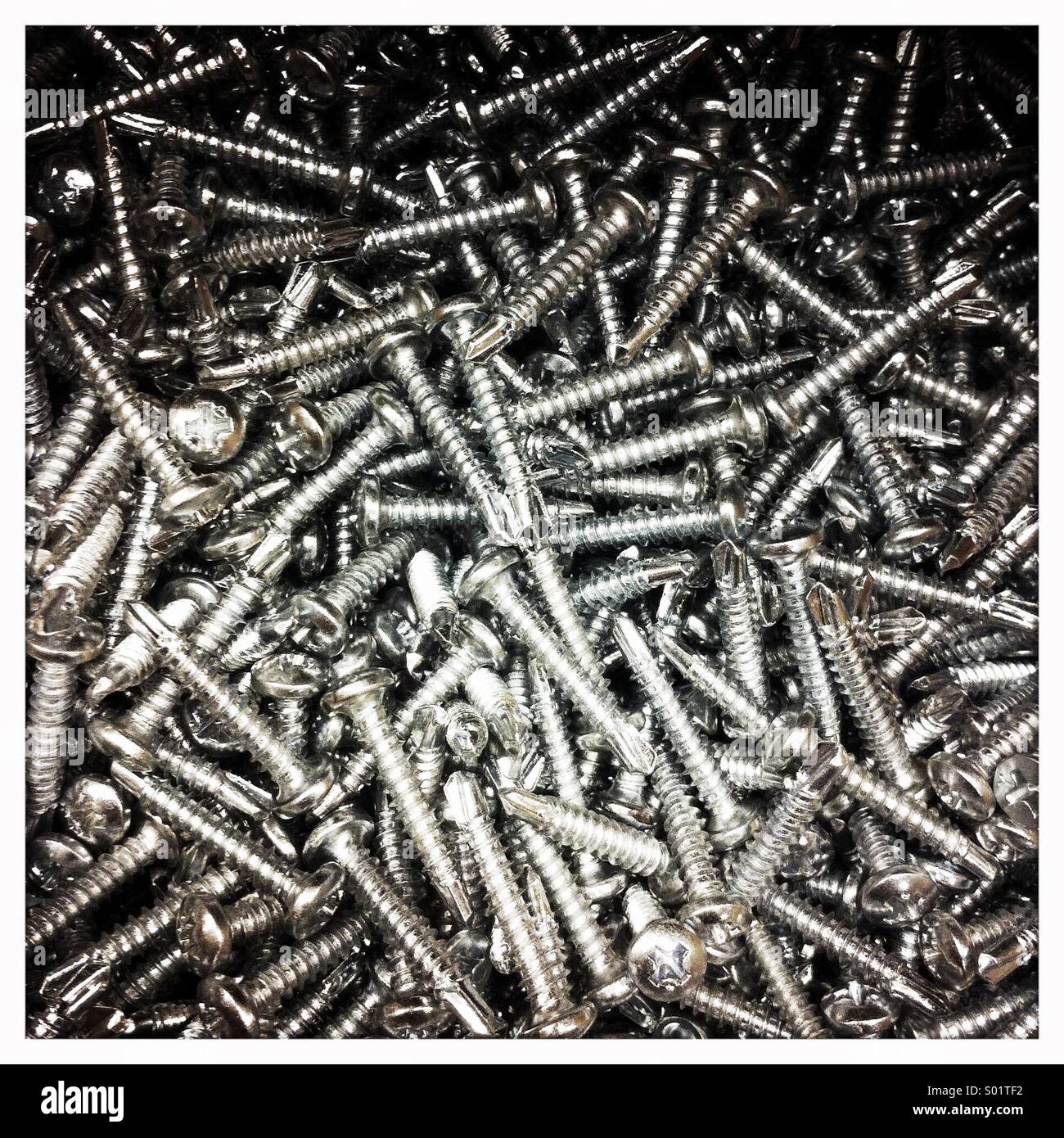 Screw worm hi-res stock photography and images - Alamy