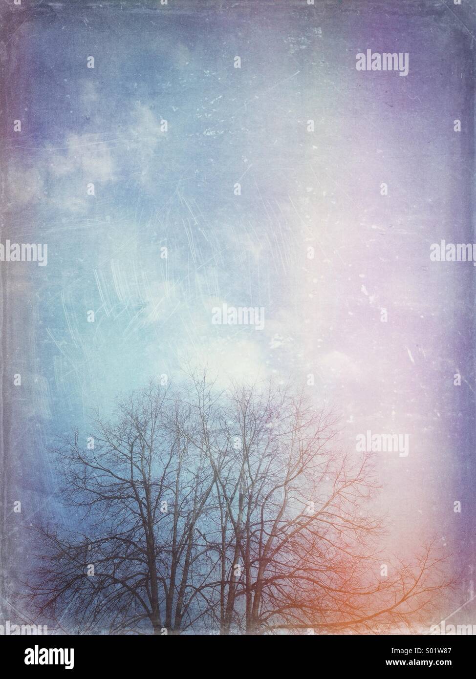 Faded trees hi-res stock photography and images - Alamy