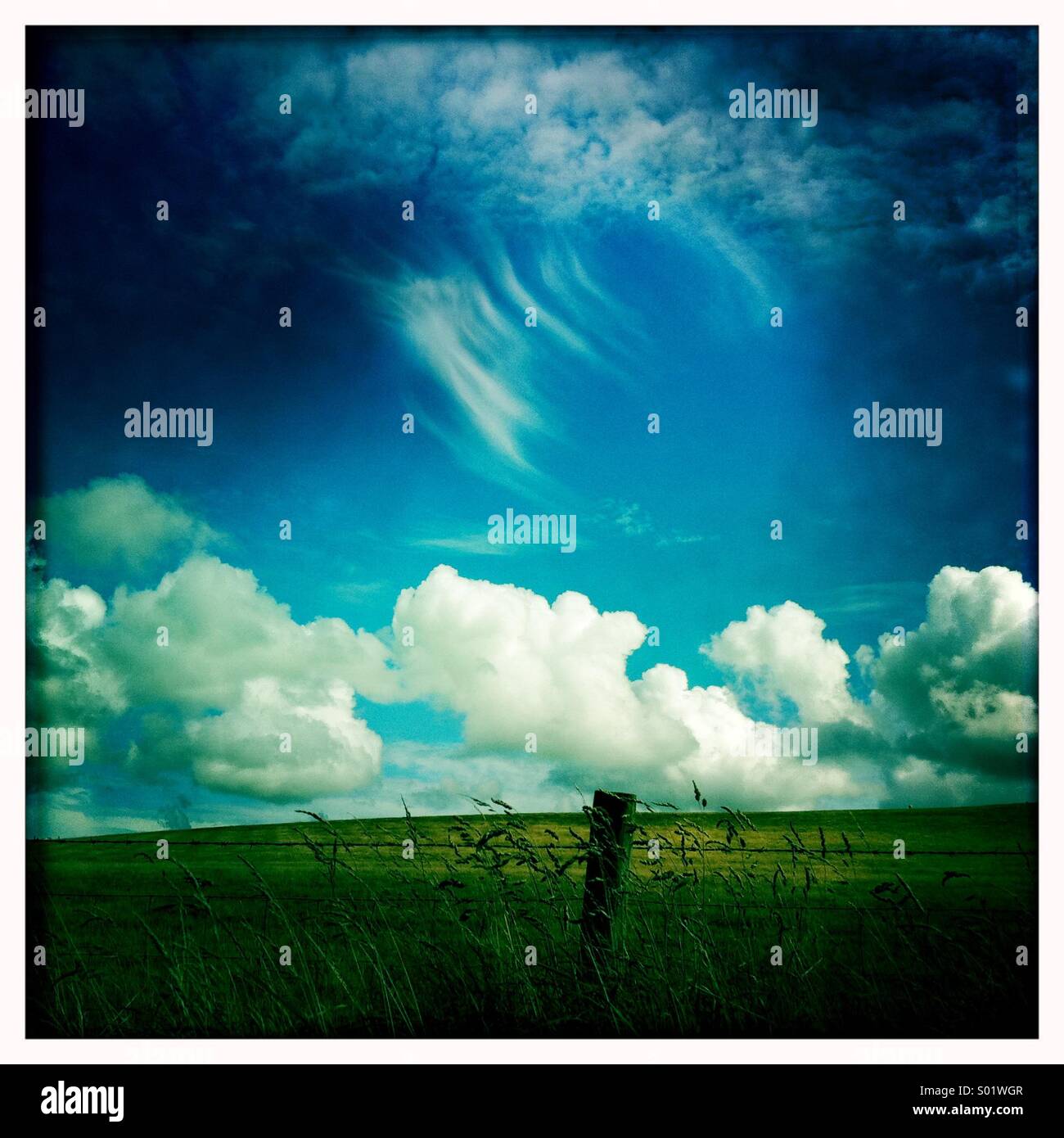 Clouds in summer Stock Photo - Alamy