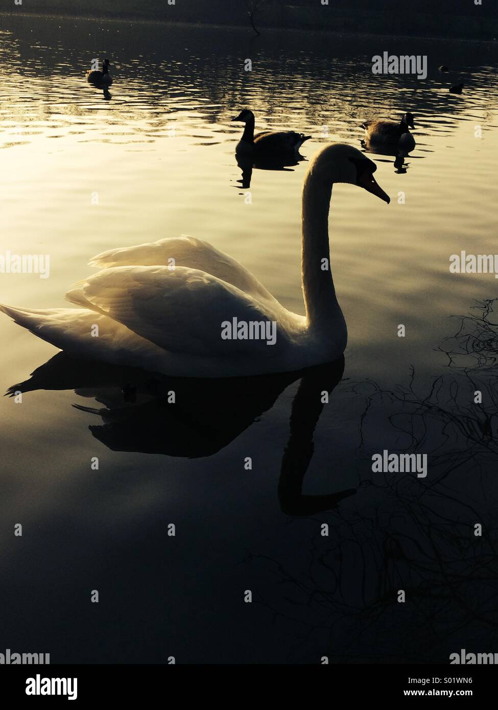 Water with shadow hi-res stock photography and images - Alamy