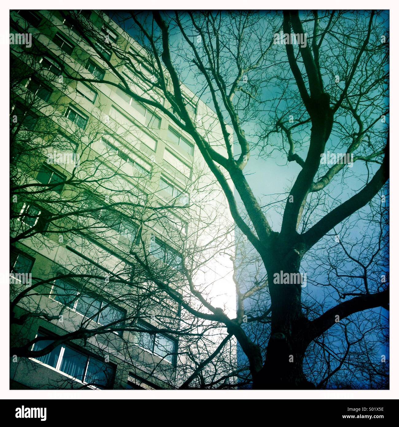 Nature vs urban hi-res stock photography and images - Alamy