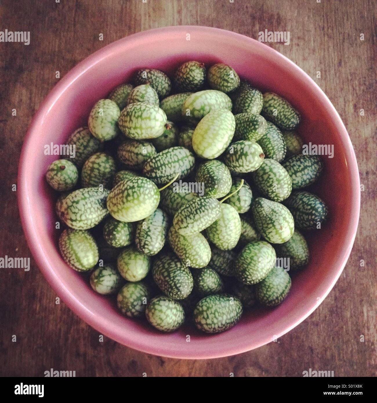 Pepquino High Resolution Stock Photography and Images - Alamy
