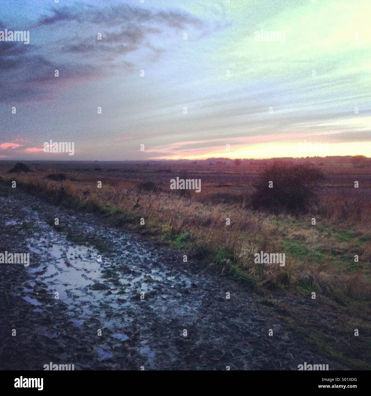 Sun setting over rural Suffolk Stock Photo - Alamy
