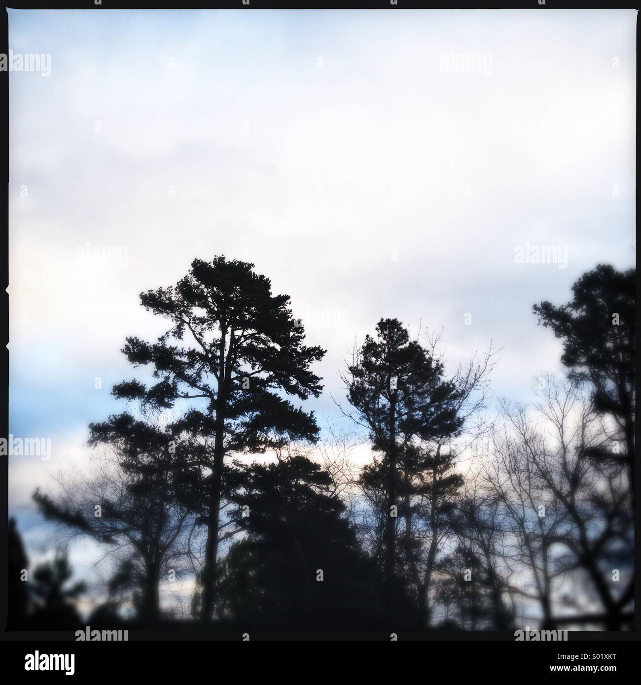 Tall landscape hi-res stock photography and images - Alamy