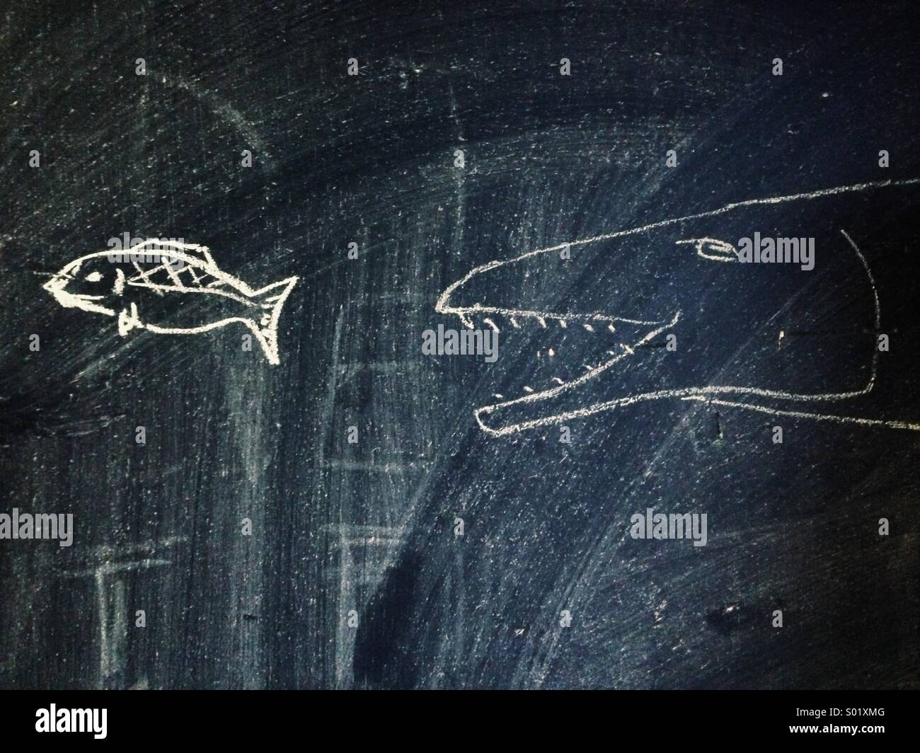 A blackboard drawing of a large fish chasing a smaller fish Stock Photo ...