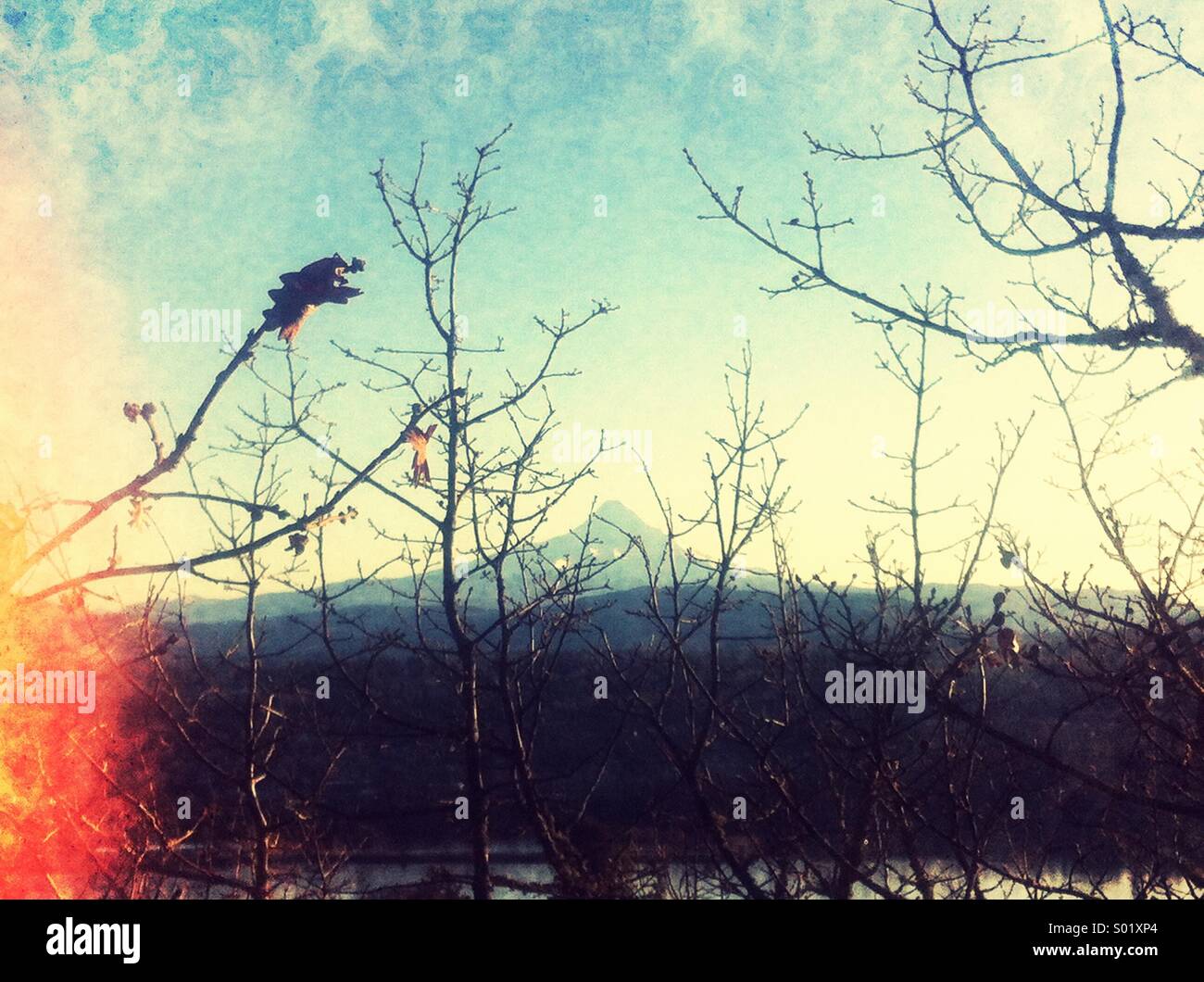Mt hood in spring time Stock Photo - Alamy