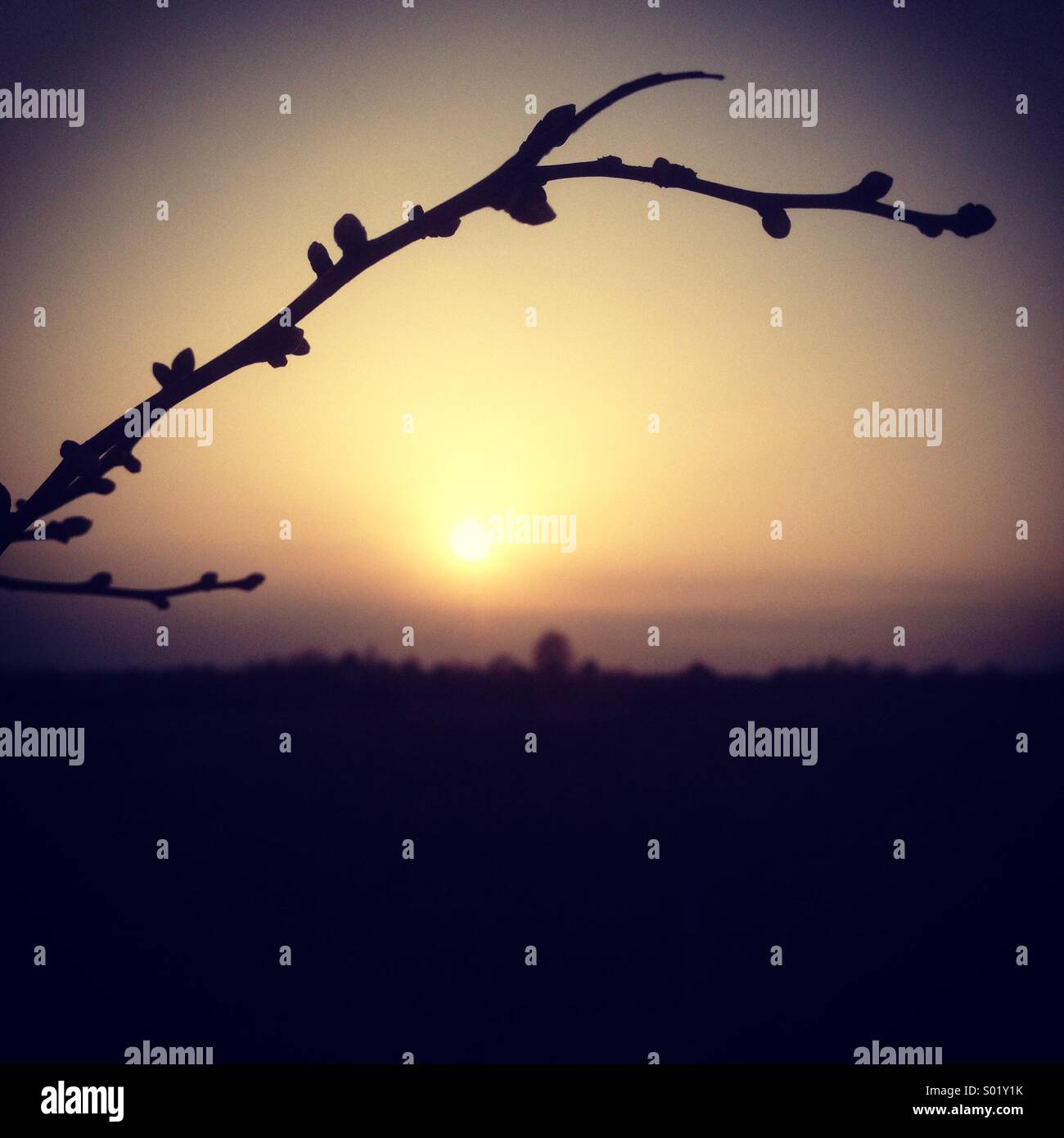 Oxford sunset hi-res stock photography and images - Alamy