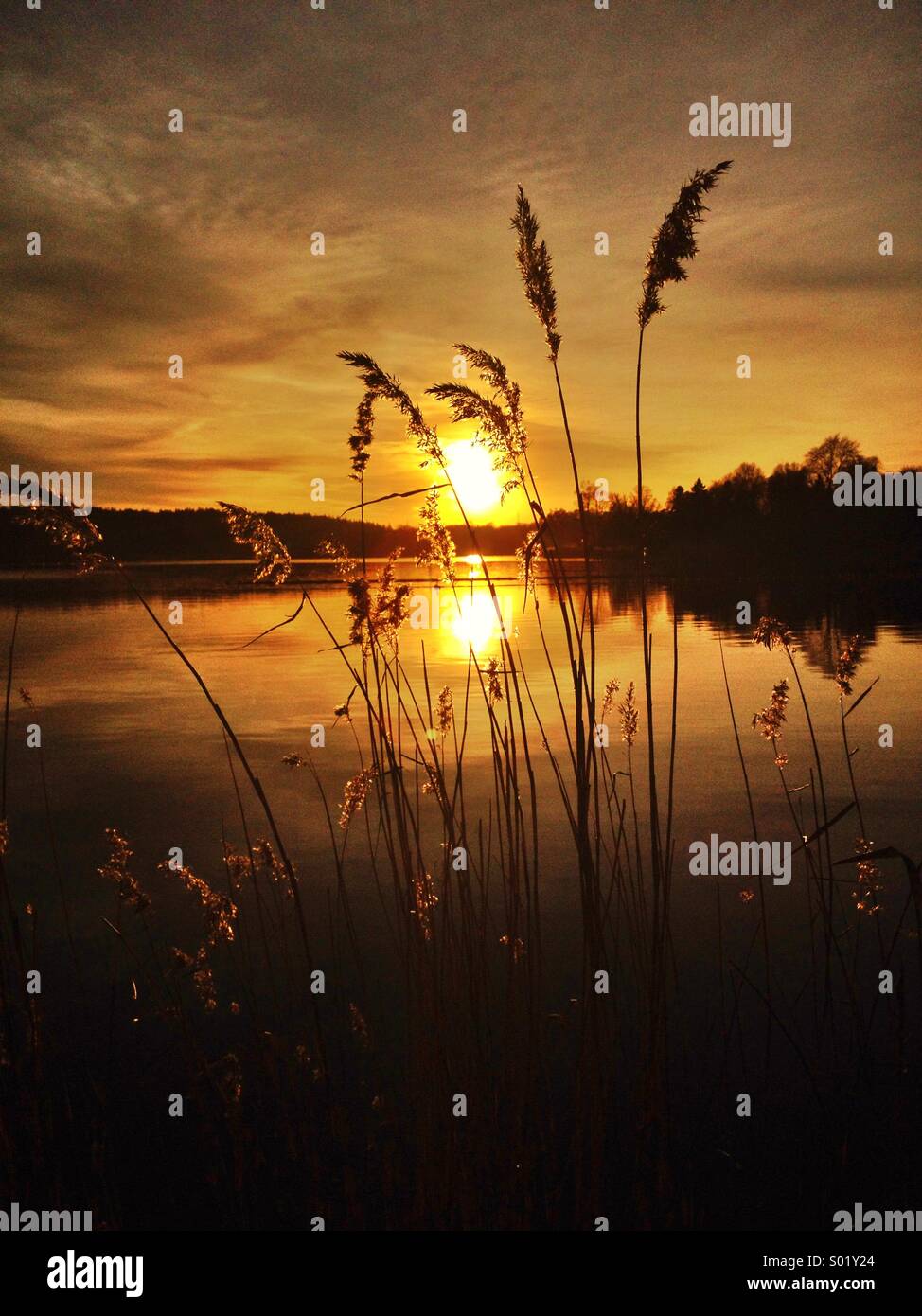 Edsviken lake hi-res stock photography and images - Alamy