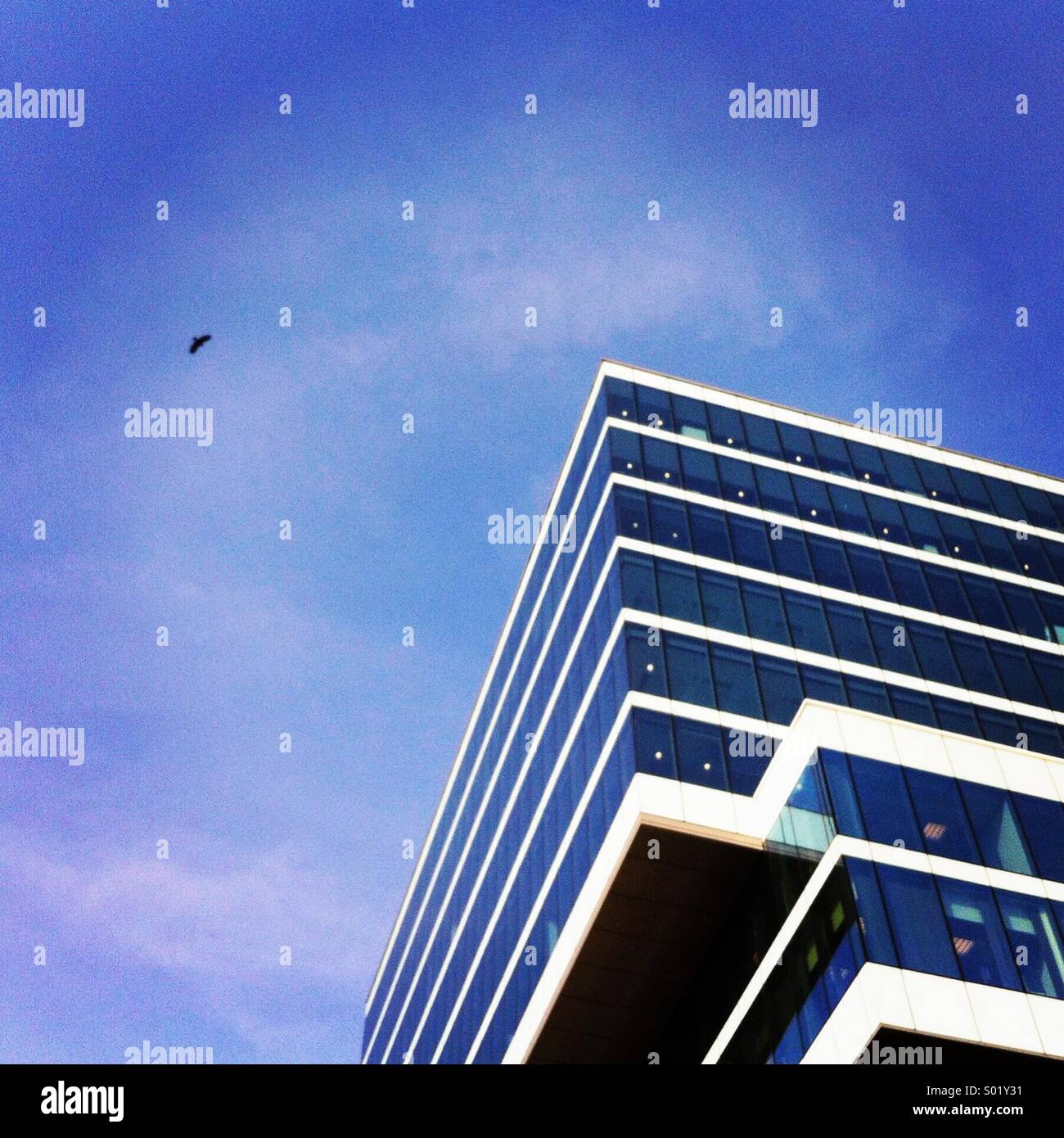 Blue and white striped building against a clear blue sky in Stratford ...