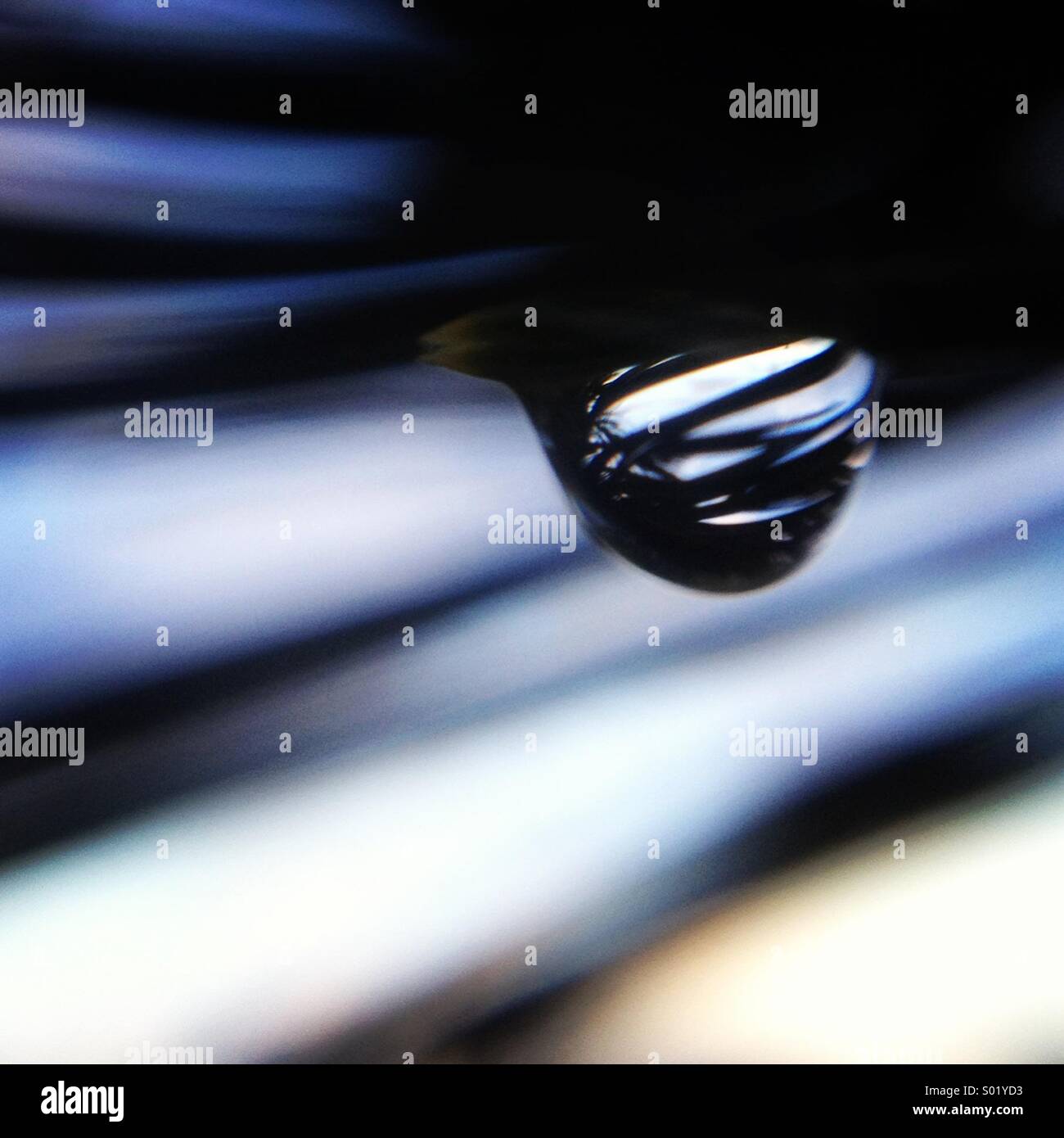 Captured in a rain drop. Close up of a water droplet hanging on to the ...