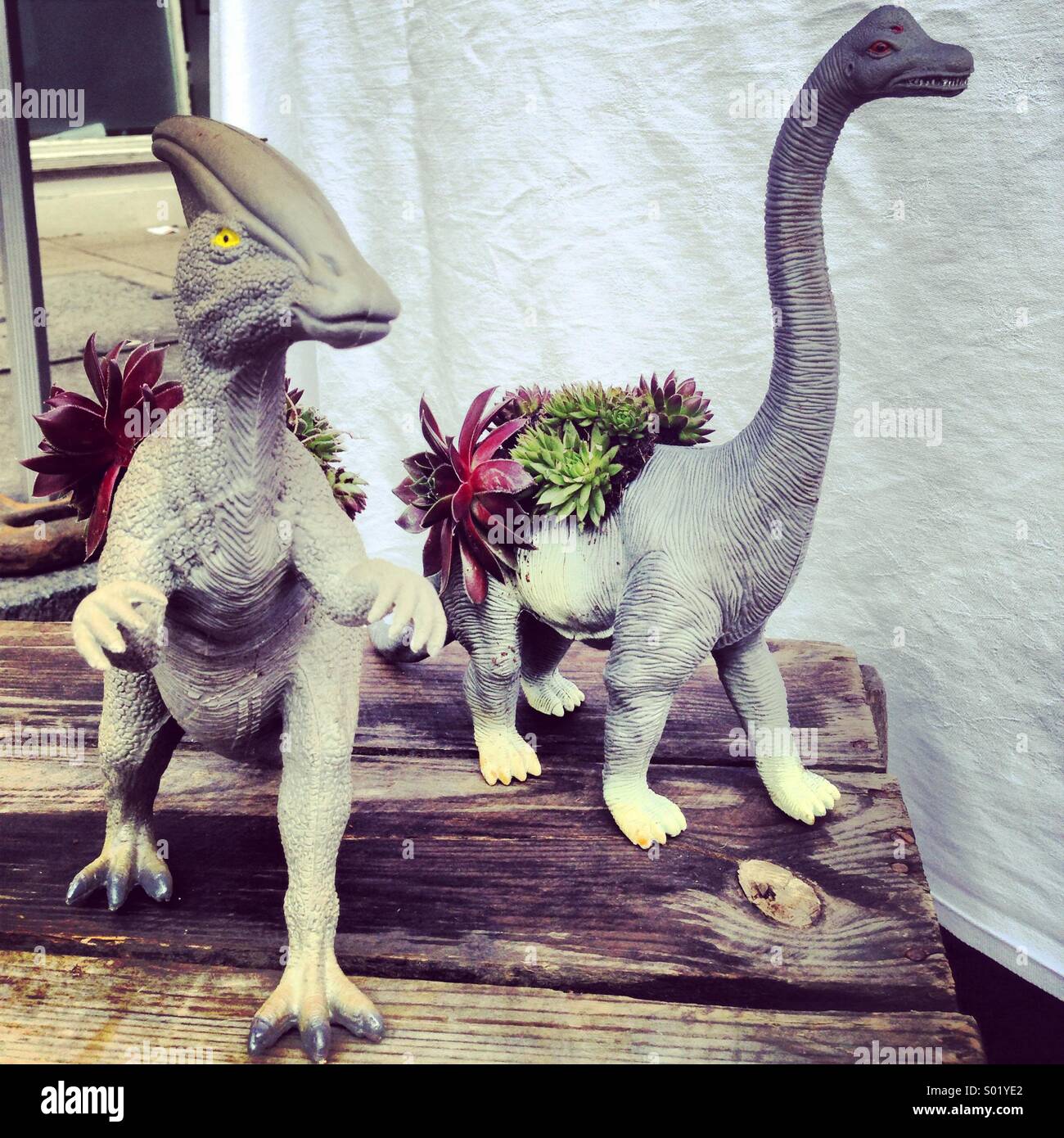 Herbivores dinosaurs hi-res stock photography and images - Alamy