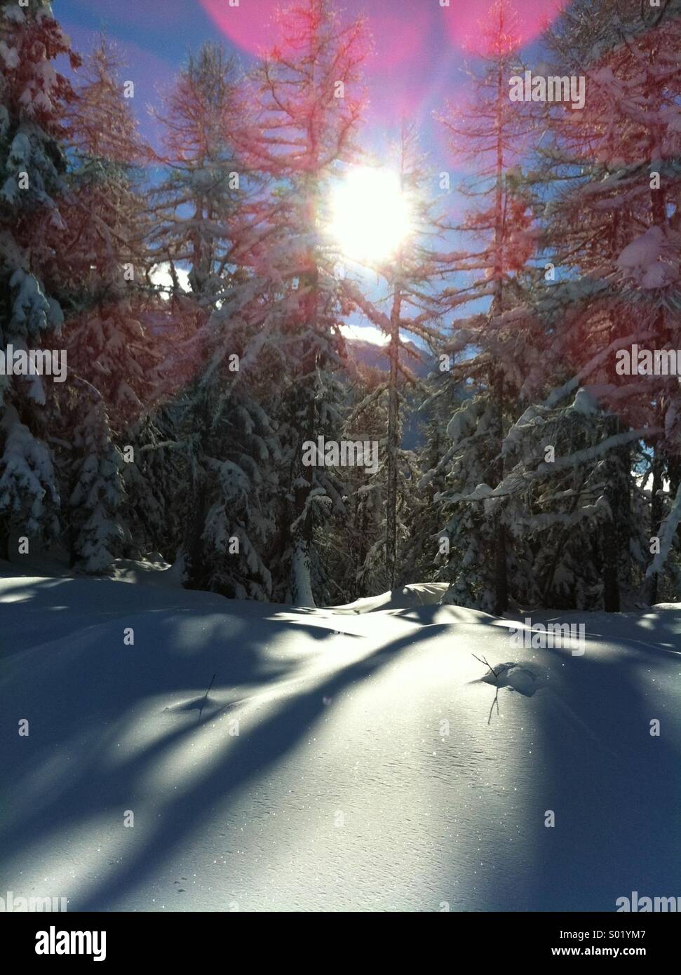 Sunlight snow hi-res stock photography and images - Alamy