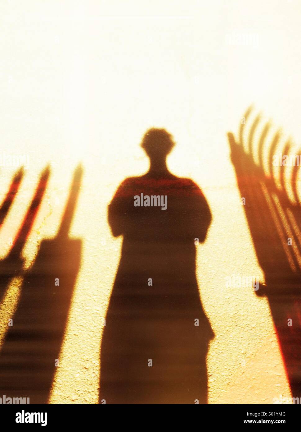 Shadow of man in gate opening Stock Photo - Alamy