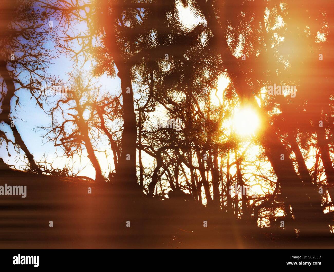 Emotive scene hi-res stock photography and images - Alamy