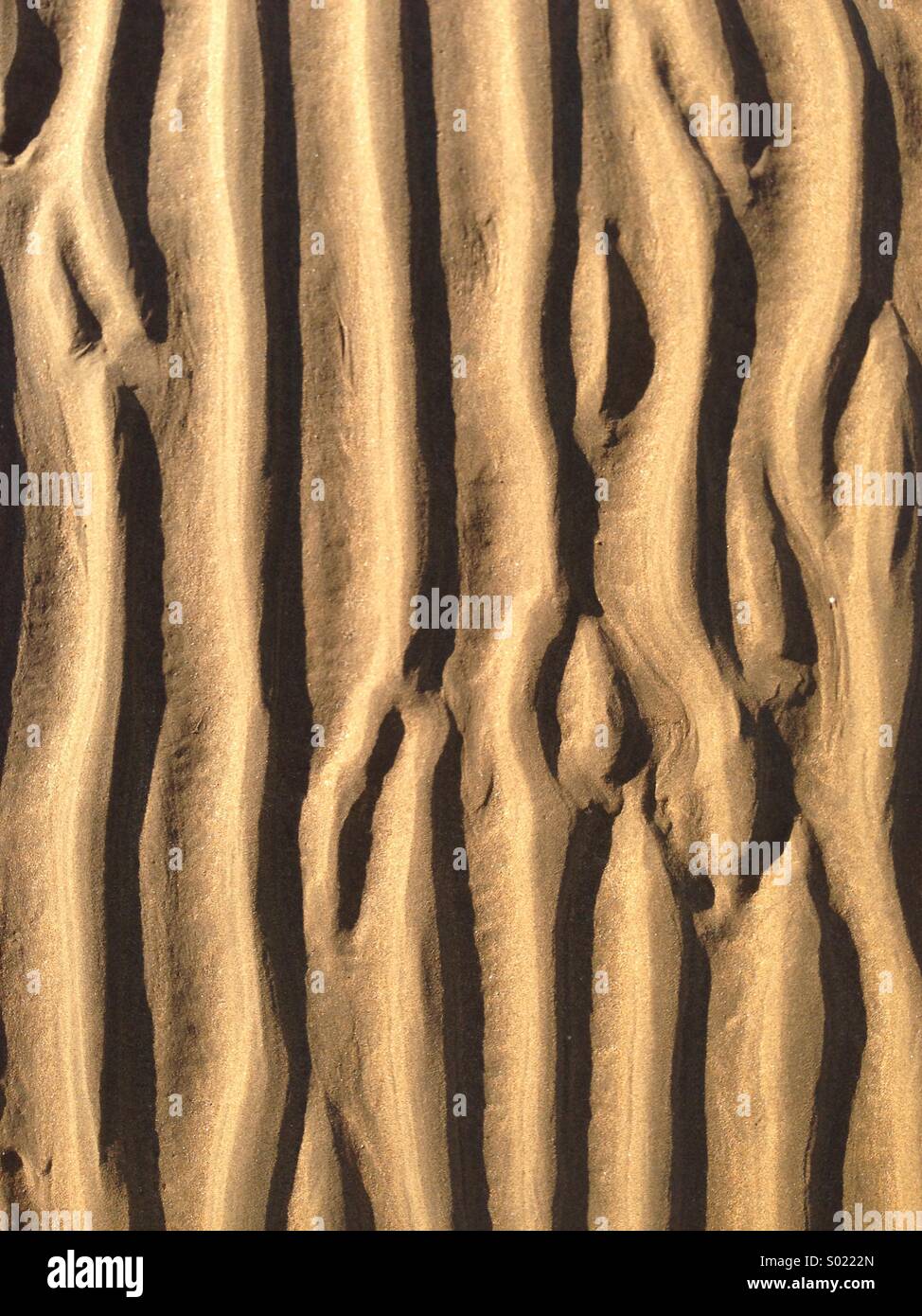 Sand texture at beach during low tide Stock Photo - Alamy