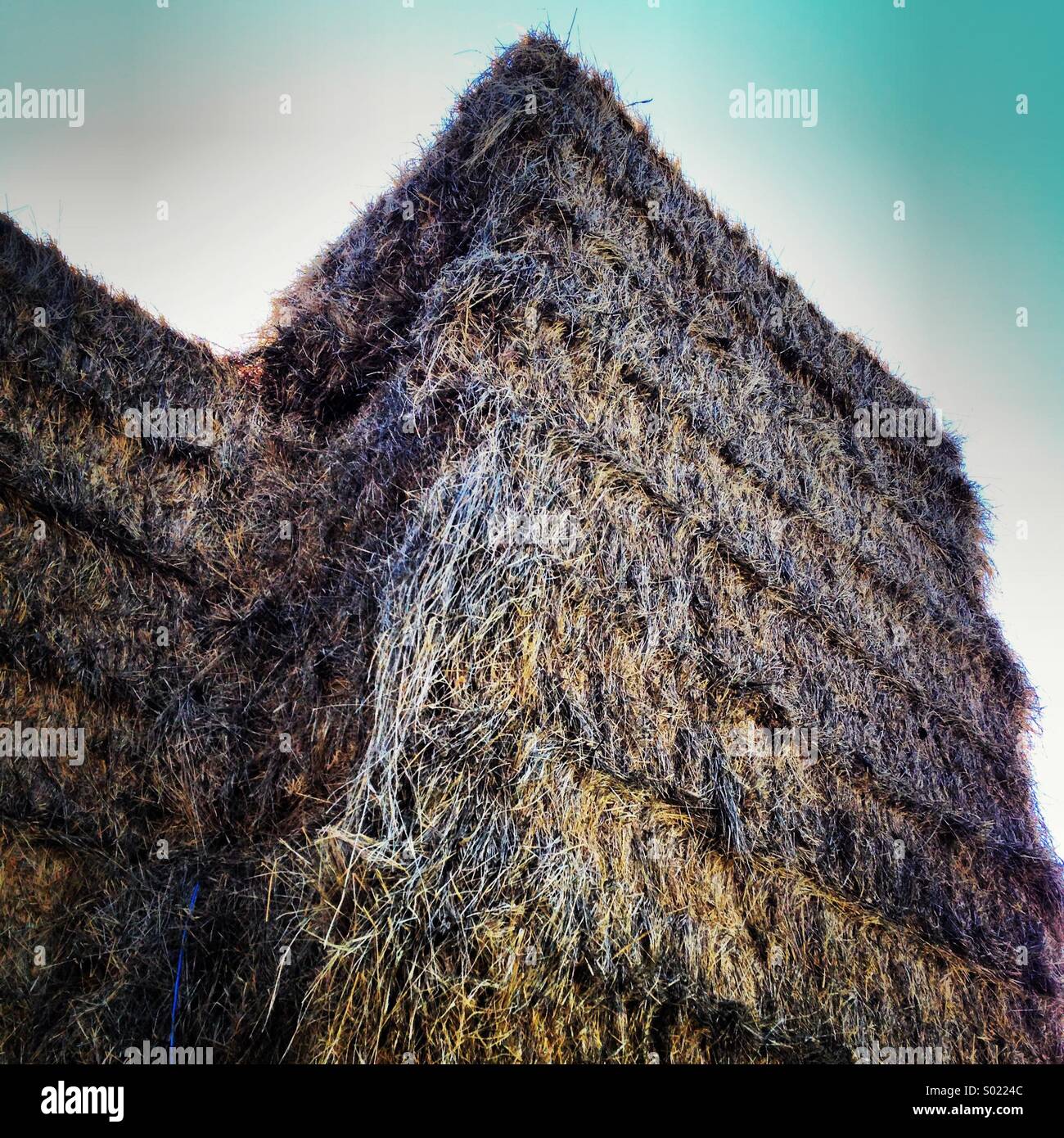 Jersey haystack hi-res stock photography and images - Alamy