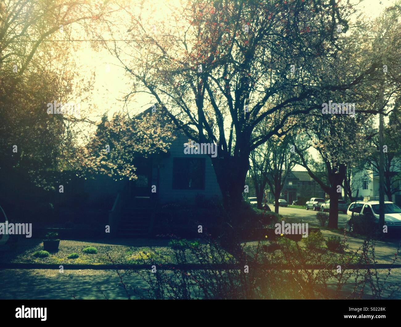 Yard scene hi-res stock photography and images - Alamy