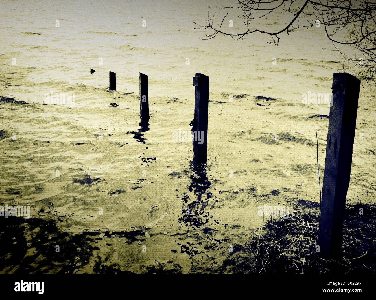 Fence disappearing into water Stock Photo - Alamy