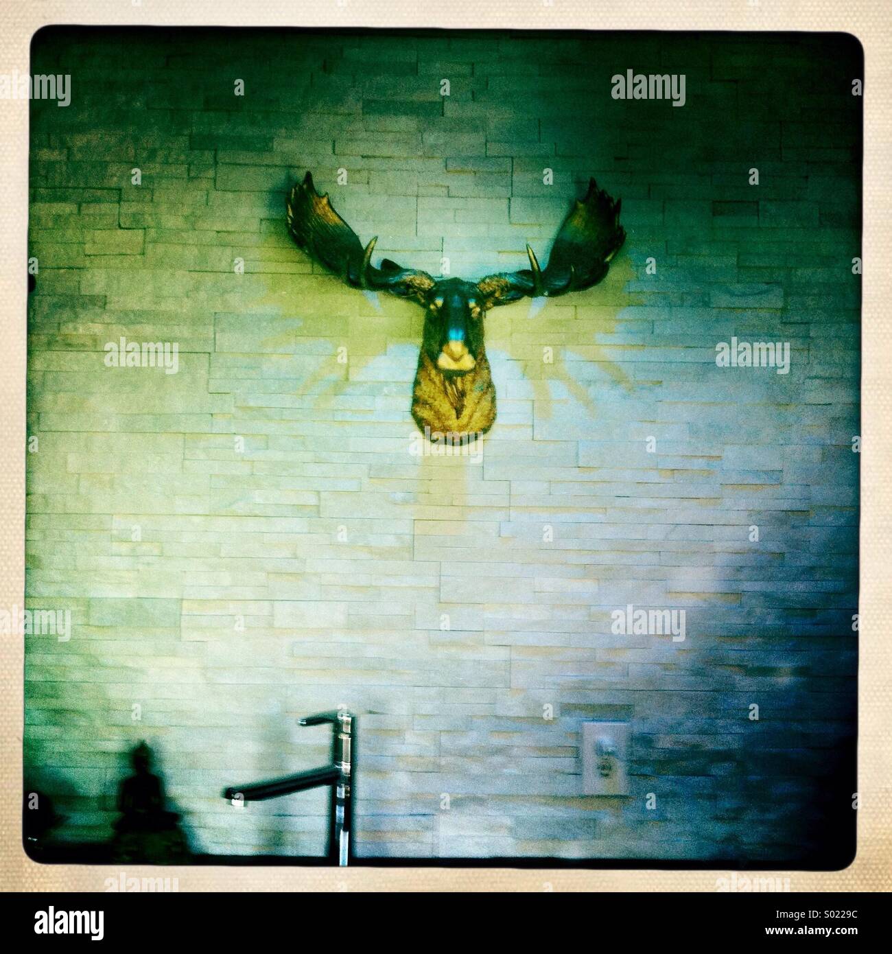 Moosehead bar hi-res stock photography and images - Alamy