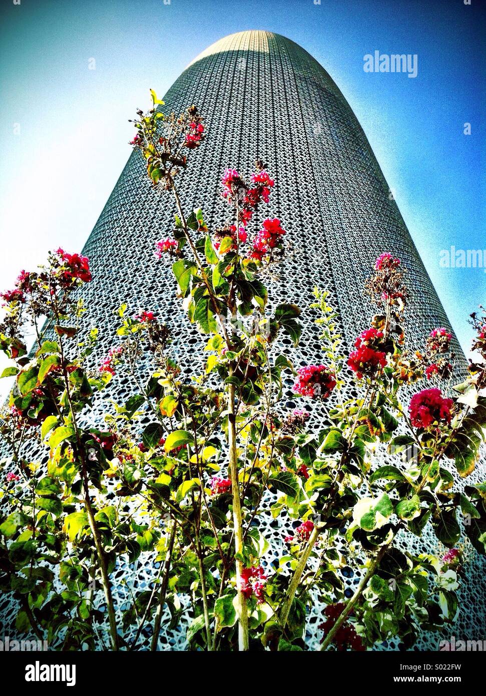Wild flowers grow in front of ultra-modern building, Doha Stock Photo ...