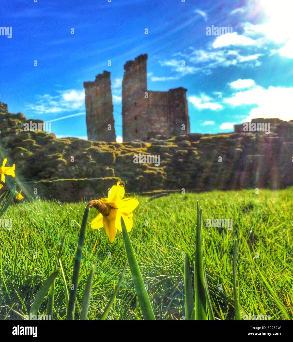 Ruin flower hi-res stock photography and images - Alamy