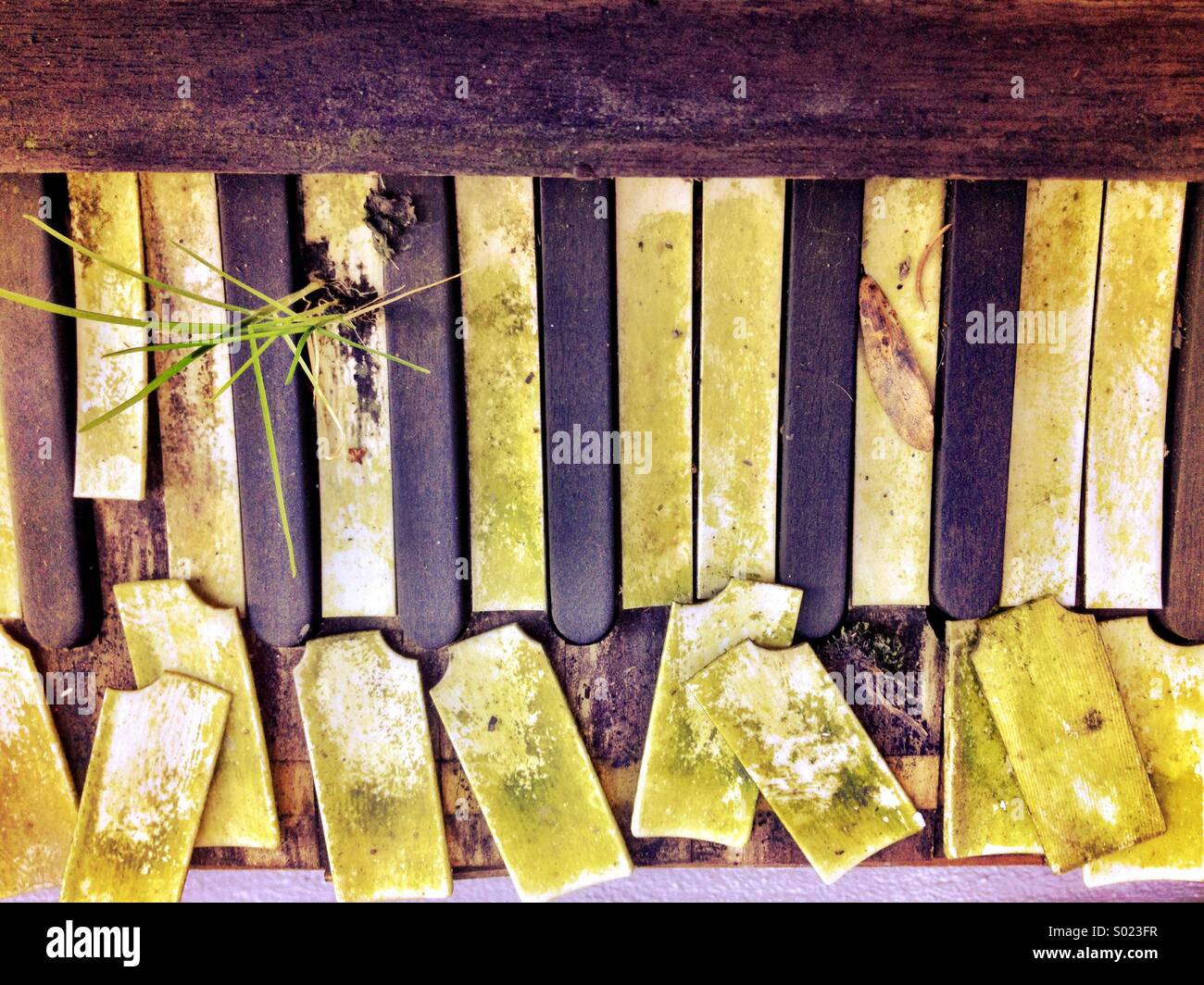 Broken piano keyboard hi-res stock photography and images - Alamy