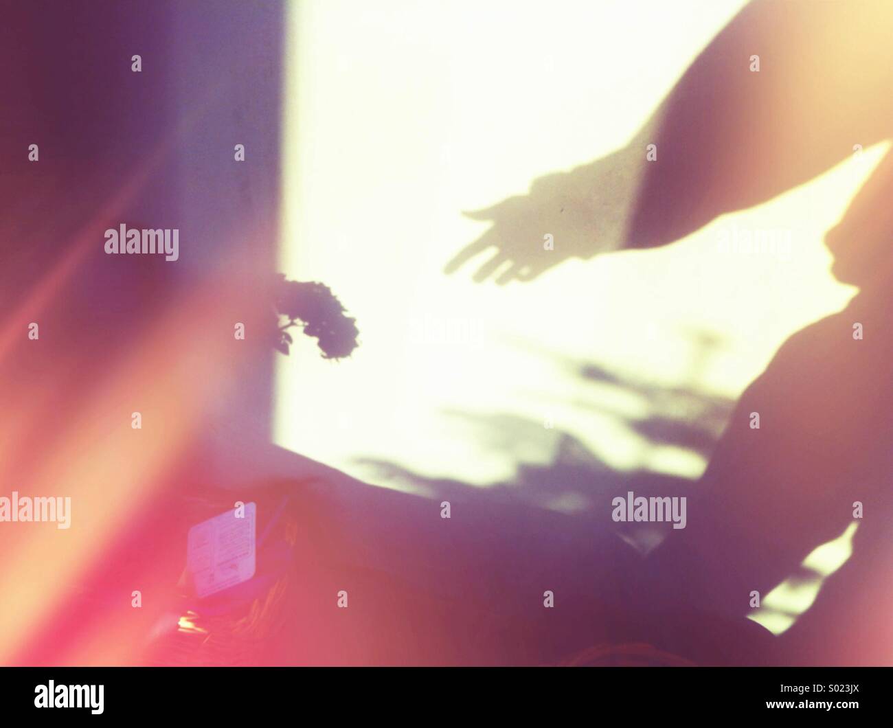 Hand shadow on wall hi-res stock photography and images - Alamy