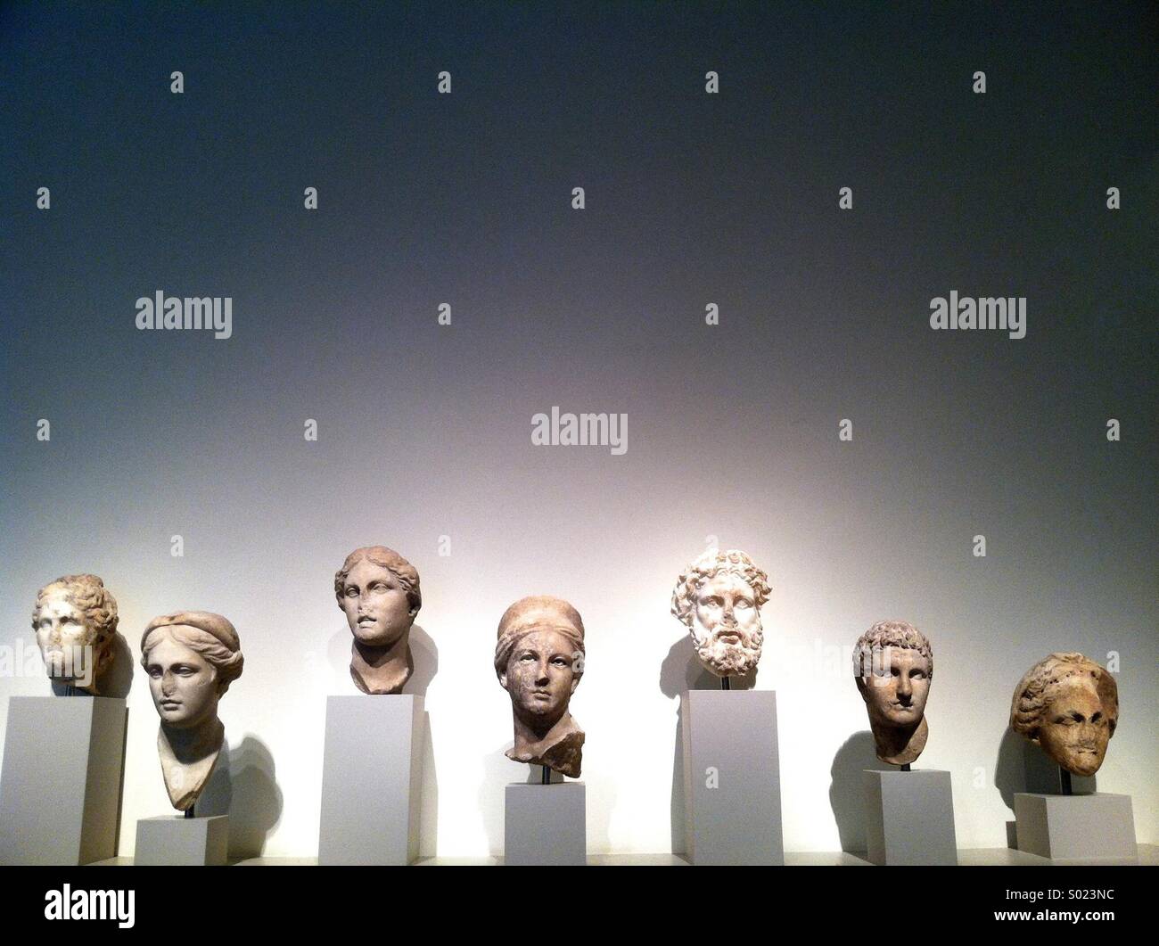 Seven marble busts on pedestals in a row Stock Photo - Alamy