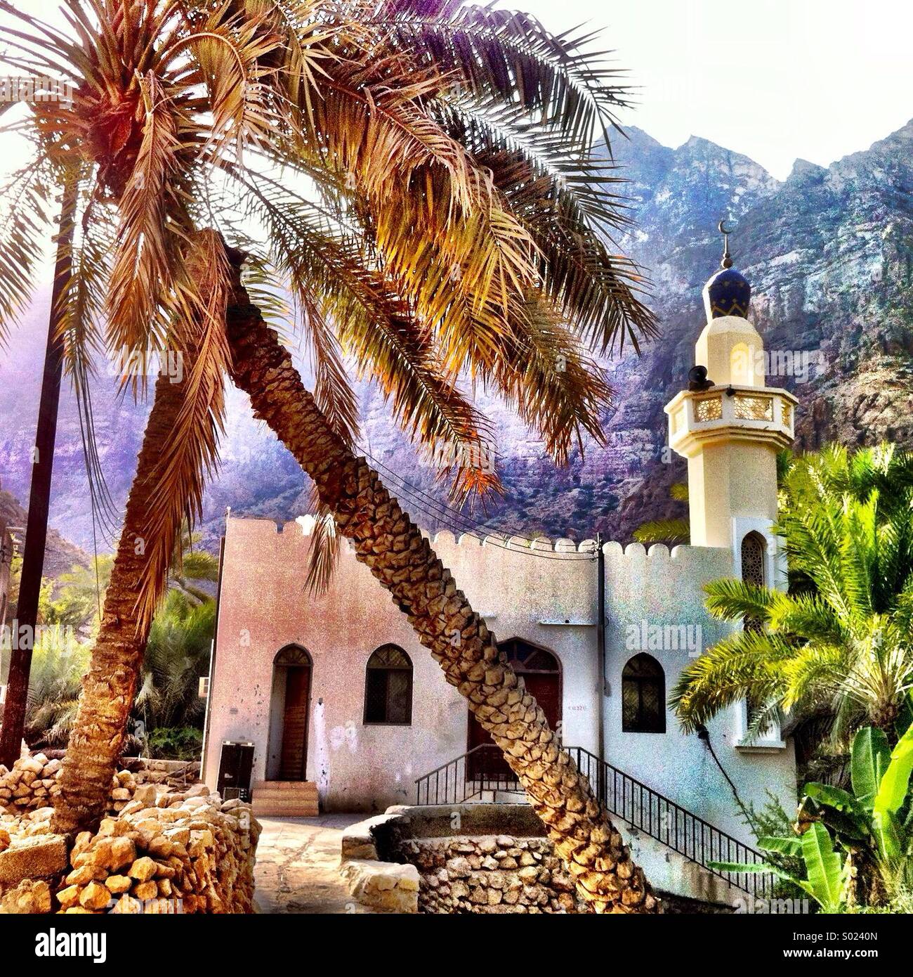 Mosque in lush oasis, Oman Stock Photo - Alamy