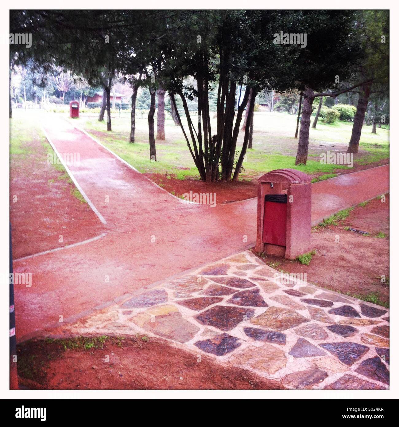 Jogging - walking way Stock Photo - Alamy