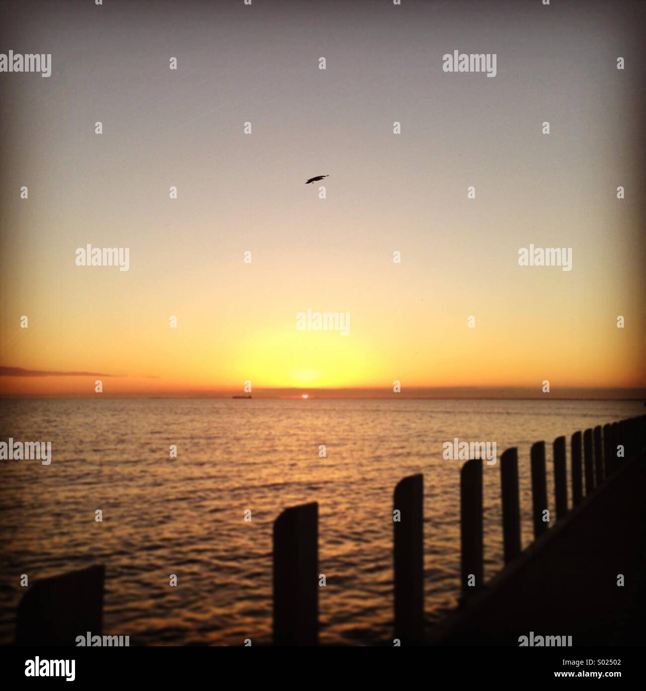 Melbourne jetty hi-res stock photography and images - Alamy