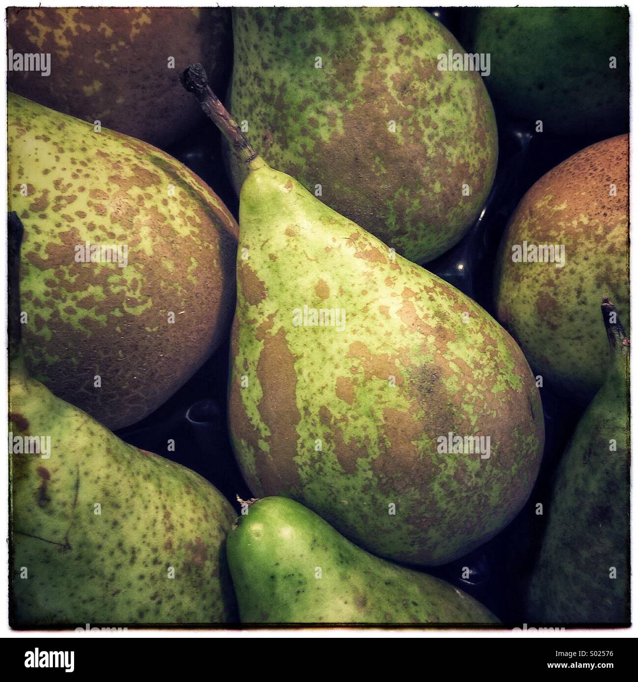 Conference pears for sale in Barcelona market Stock Photo - Alamy
