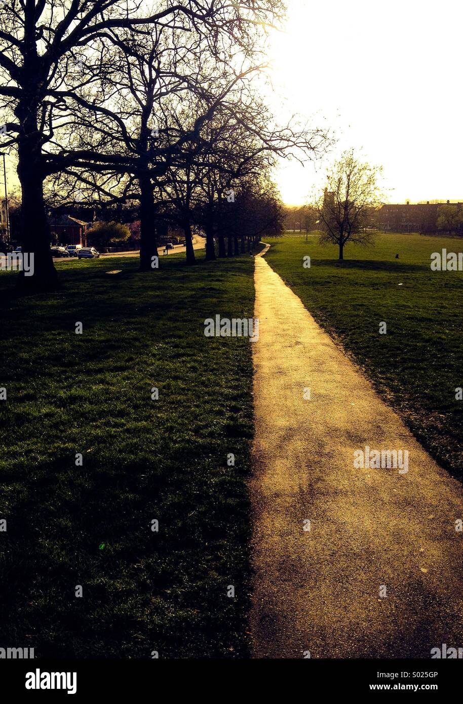 Looking down long path cutting across Streatham common London Stock ...