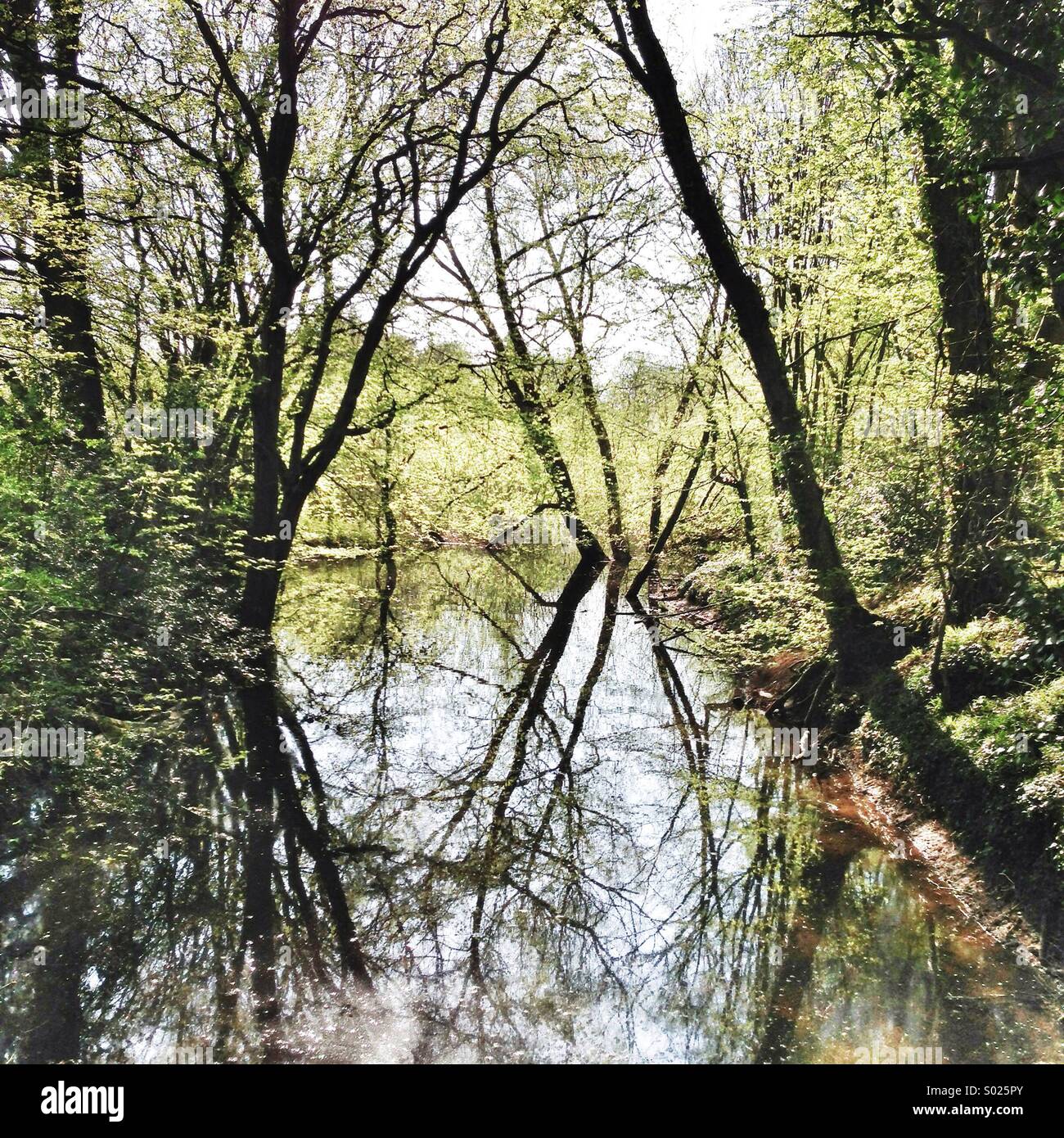 Trees with river hi-res stock photography and images - Alamy