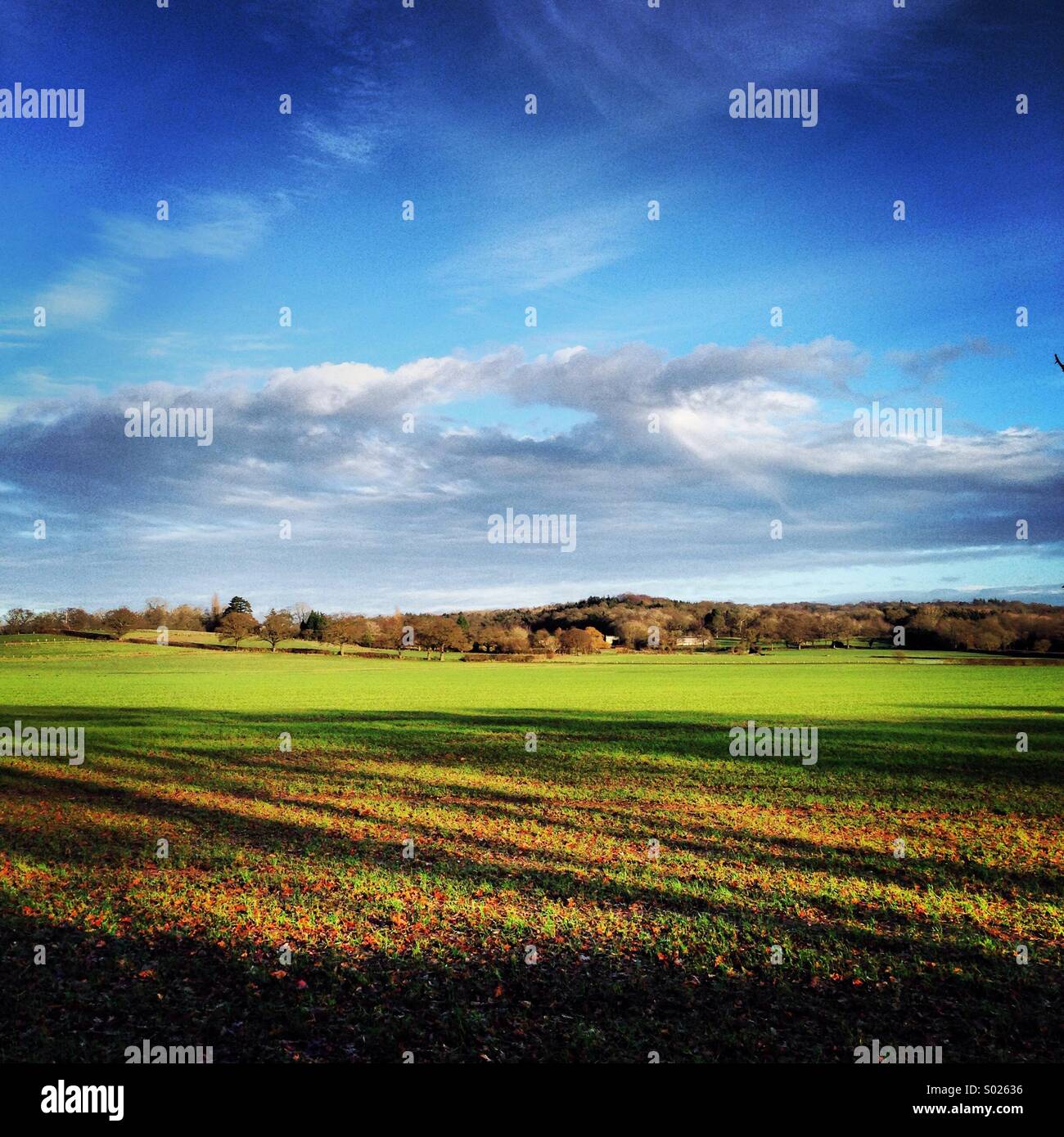 Fields spring blue sky hi-res stock photography and images - Alamy