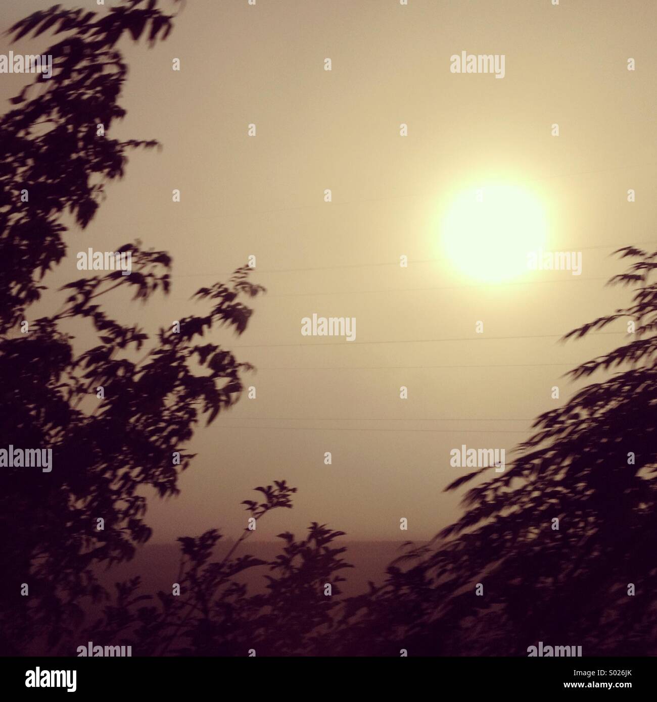 Thick mist cloud hi-res stock photography and images - Alamy