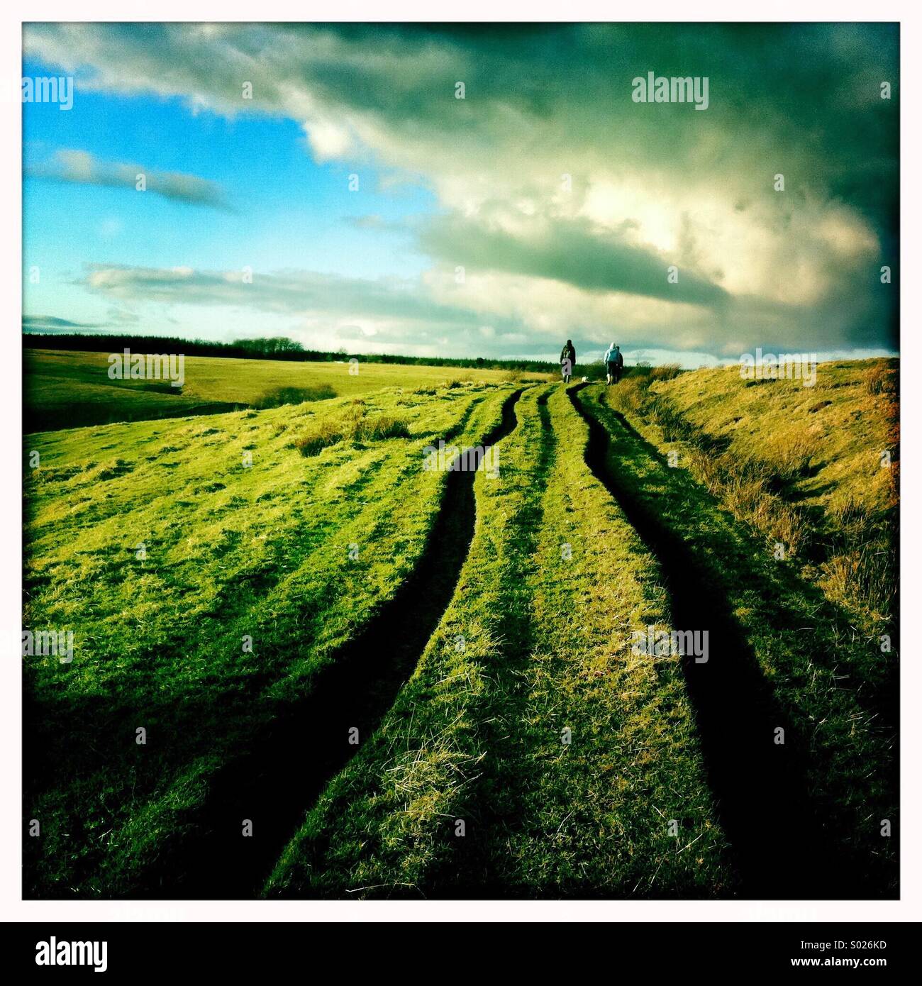 Tracks through grass hi-res stock photography and images - Alamy