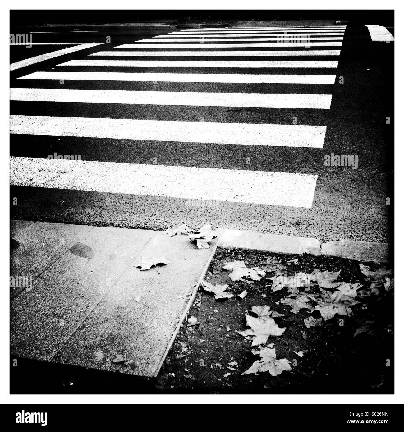 Pedestrian crossing markings Black and White Stock Photos & Images - Alamy