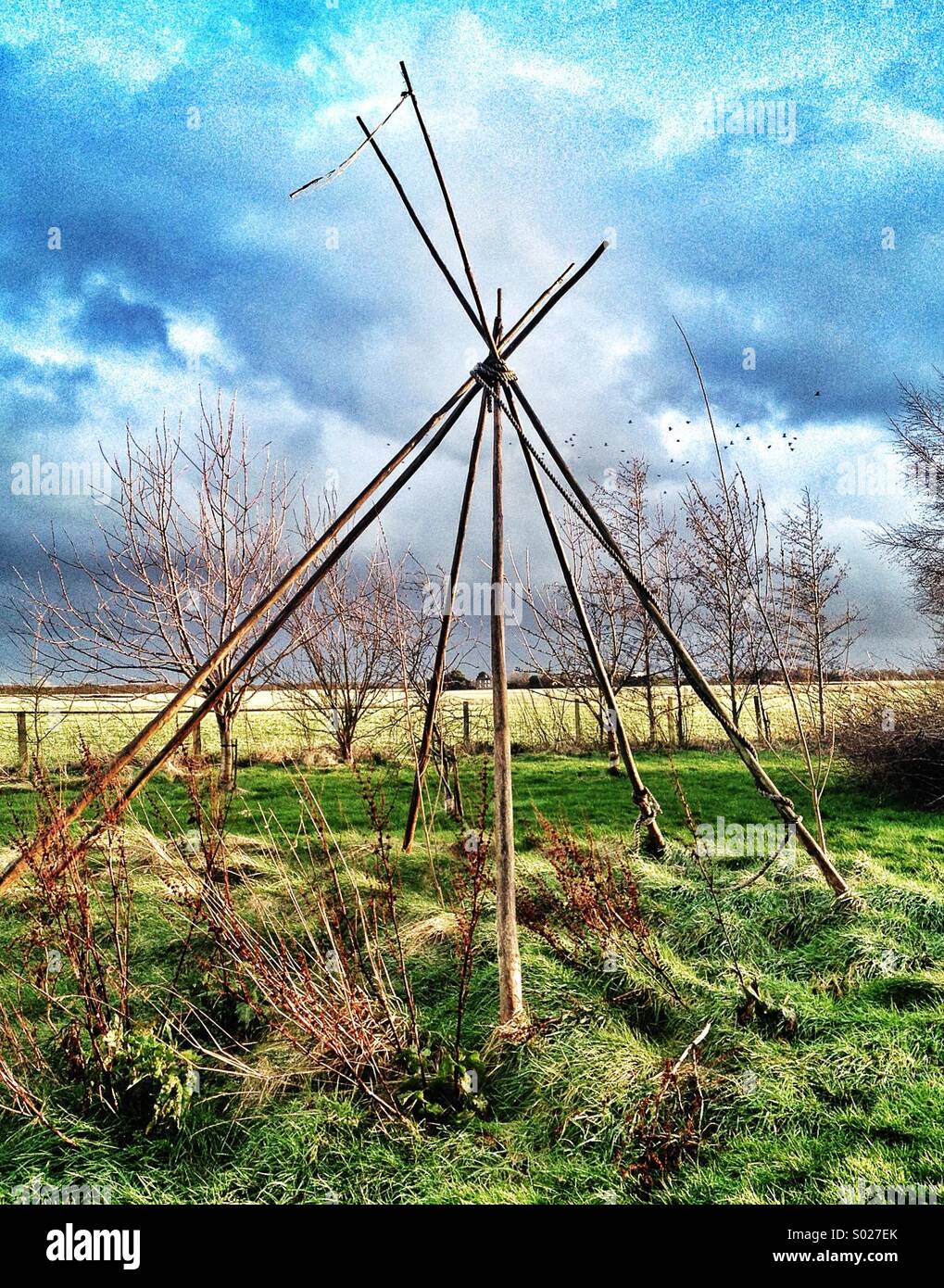 Tipi poles in landscape Stock Photo - Alamy