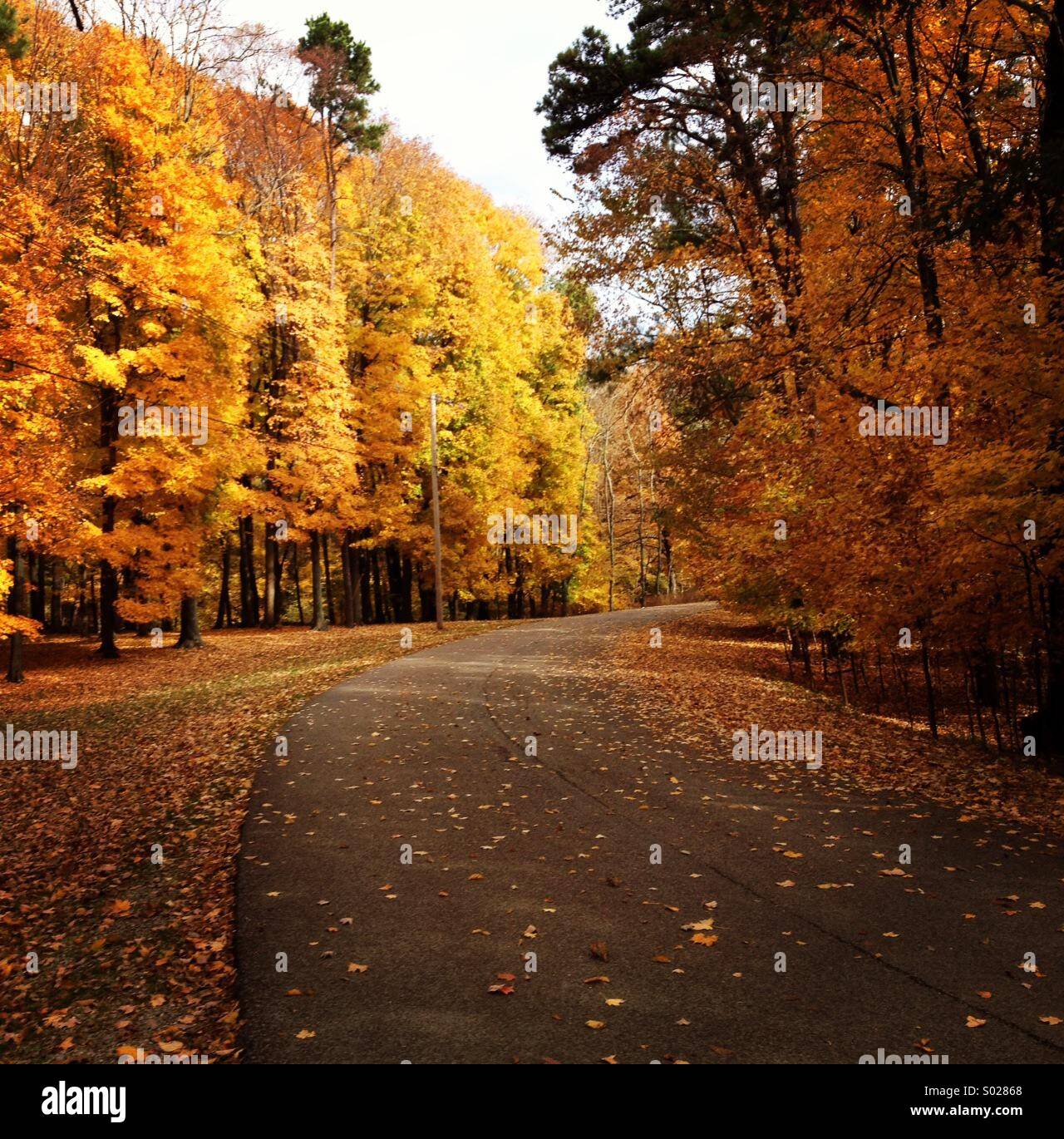 Fall scenic drive hi-res stock photography and images - Alamy