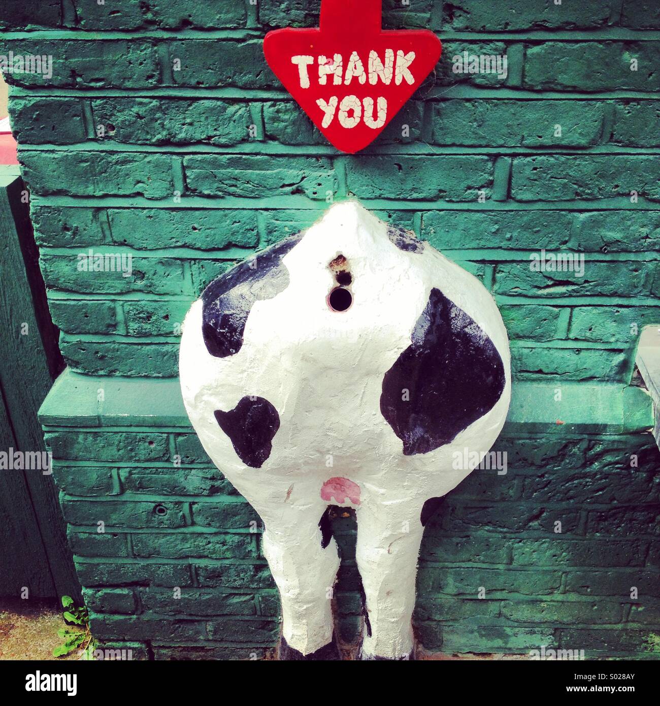 Cow Bottom Stock Photos & Cow Bottom Stock Images - Alamy