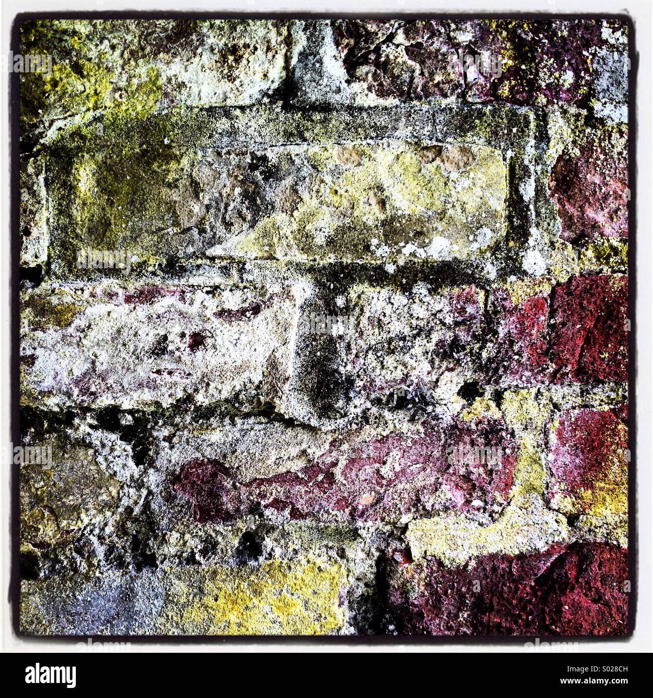 A multicoloured brick wall Stock Photo - Alamy